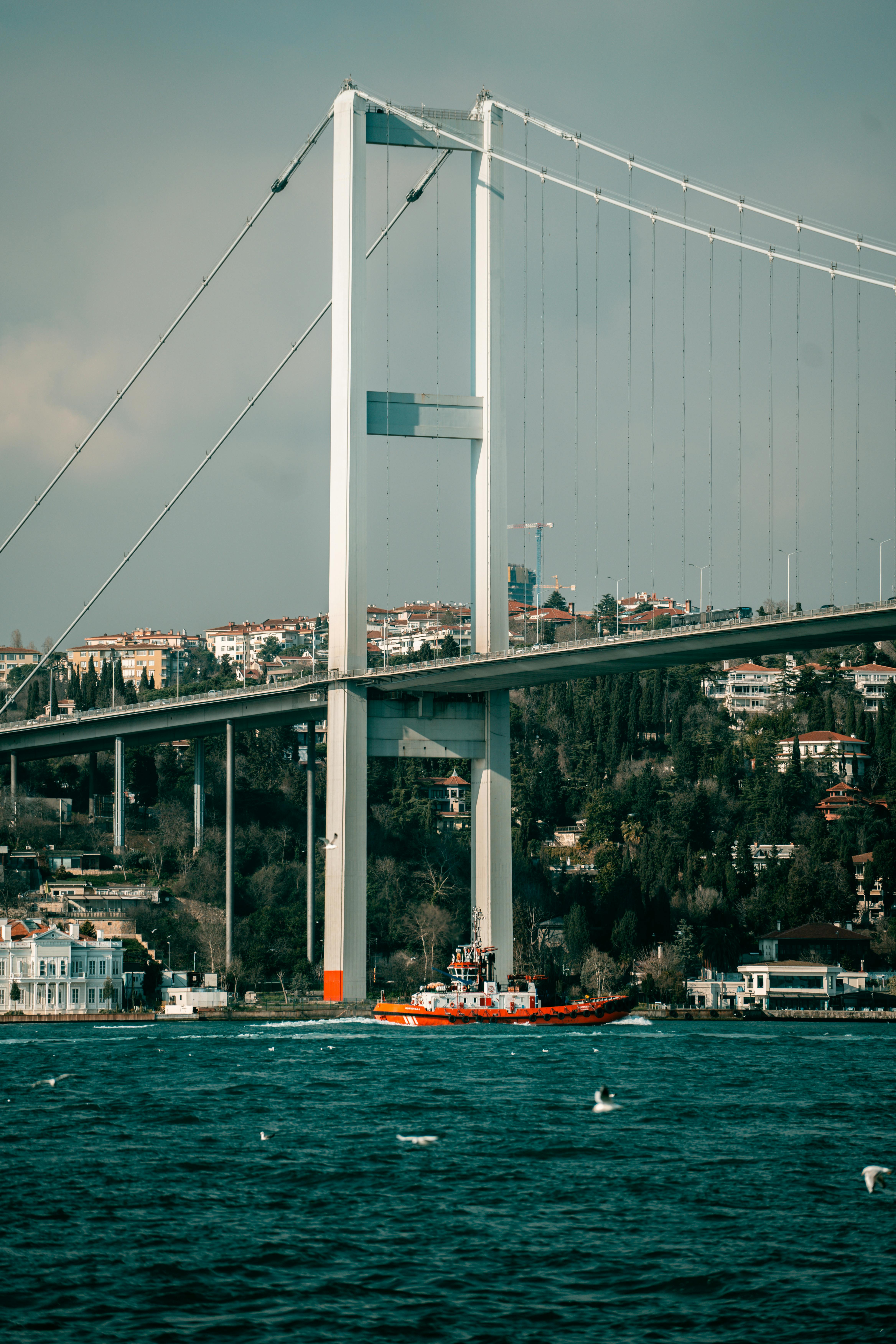Bosphorus Bridge with Boat in Istanbul Scenery · Free Stock Photo