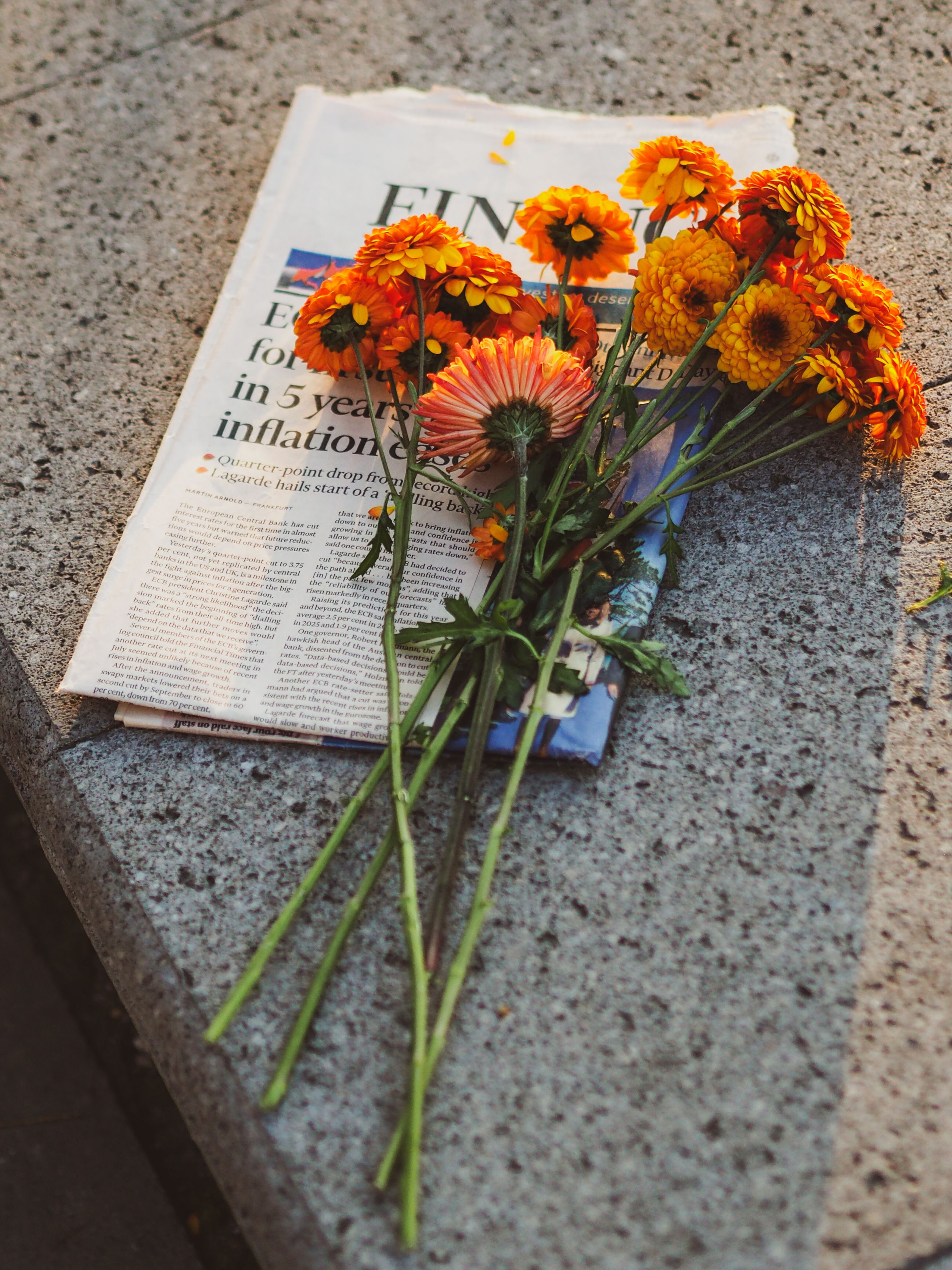 Vibrant Flowers on Newspaper Outdoors · Free Stock Photo