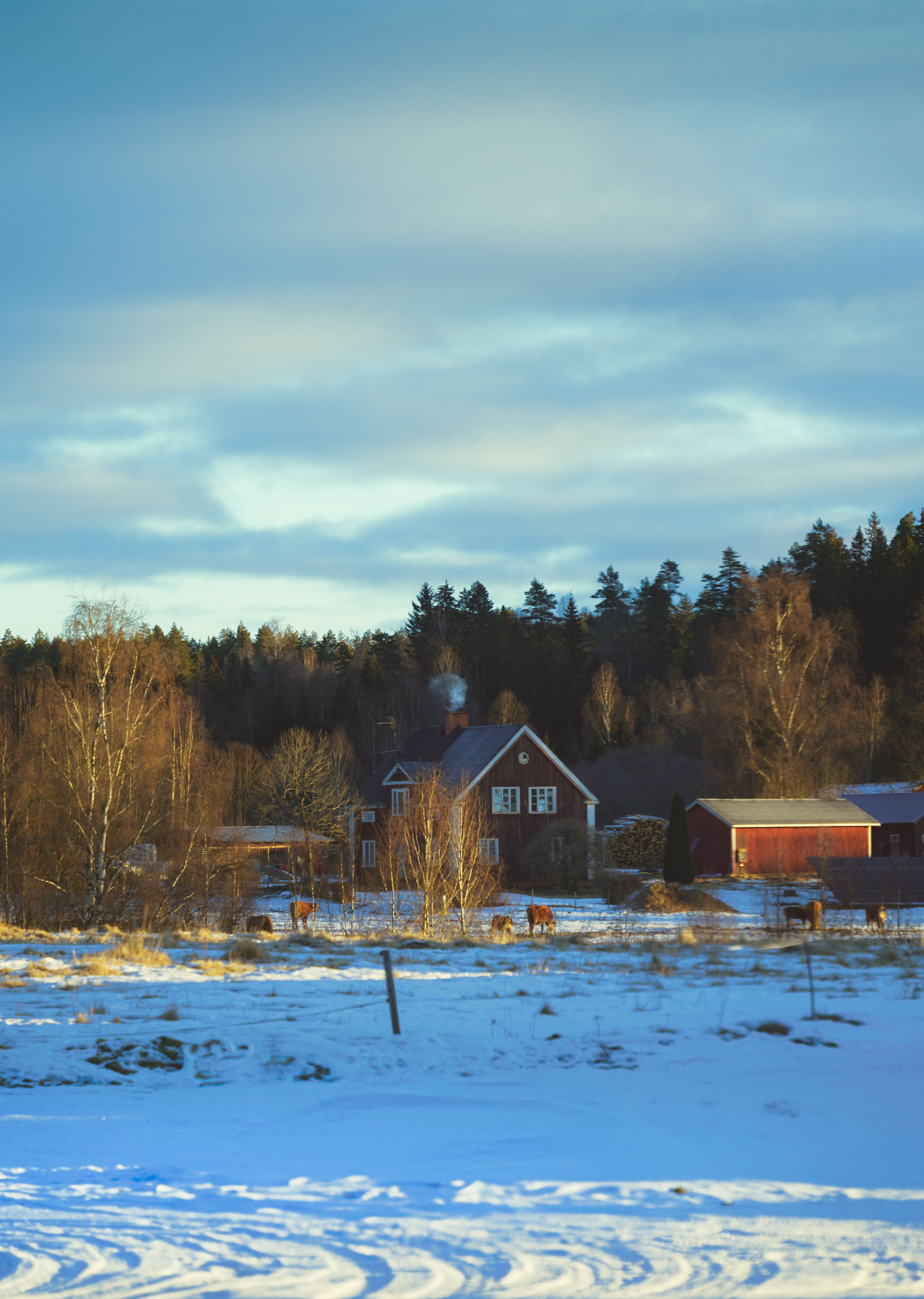 Snowy Countryside Landscape with Rustic Farmhouse · Free Stock Photo
