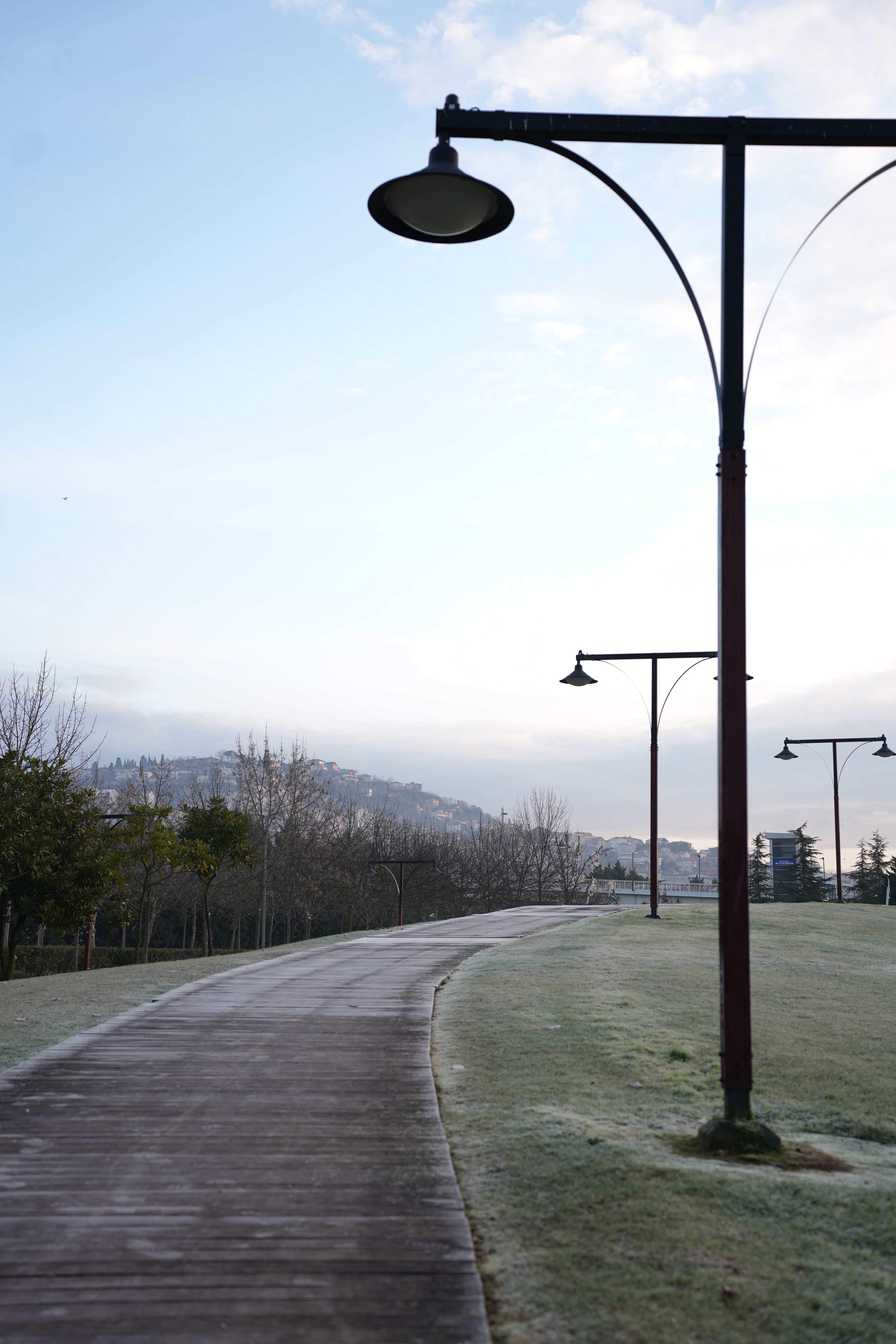 Serene Morning Walkway with Lamp Posts · Free Stock Photo