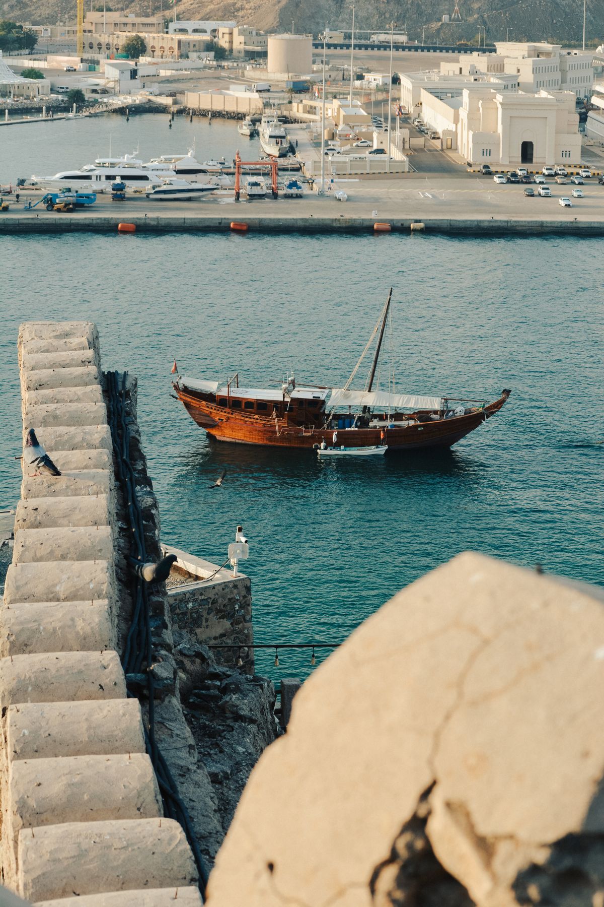 Muscat Photos, Download The BEST Free Muscat Stock Photos & HD Images