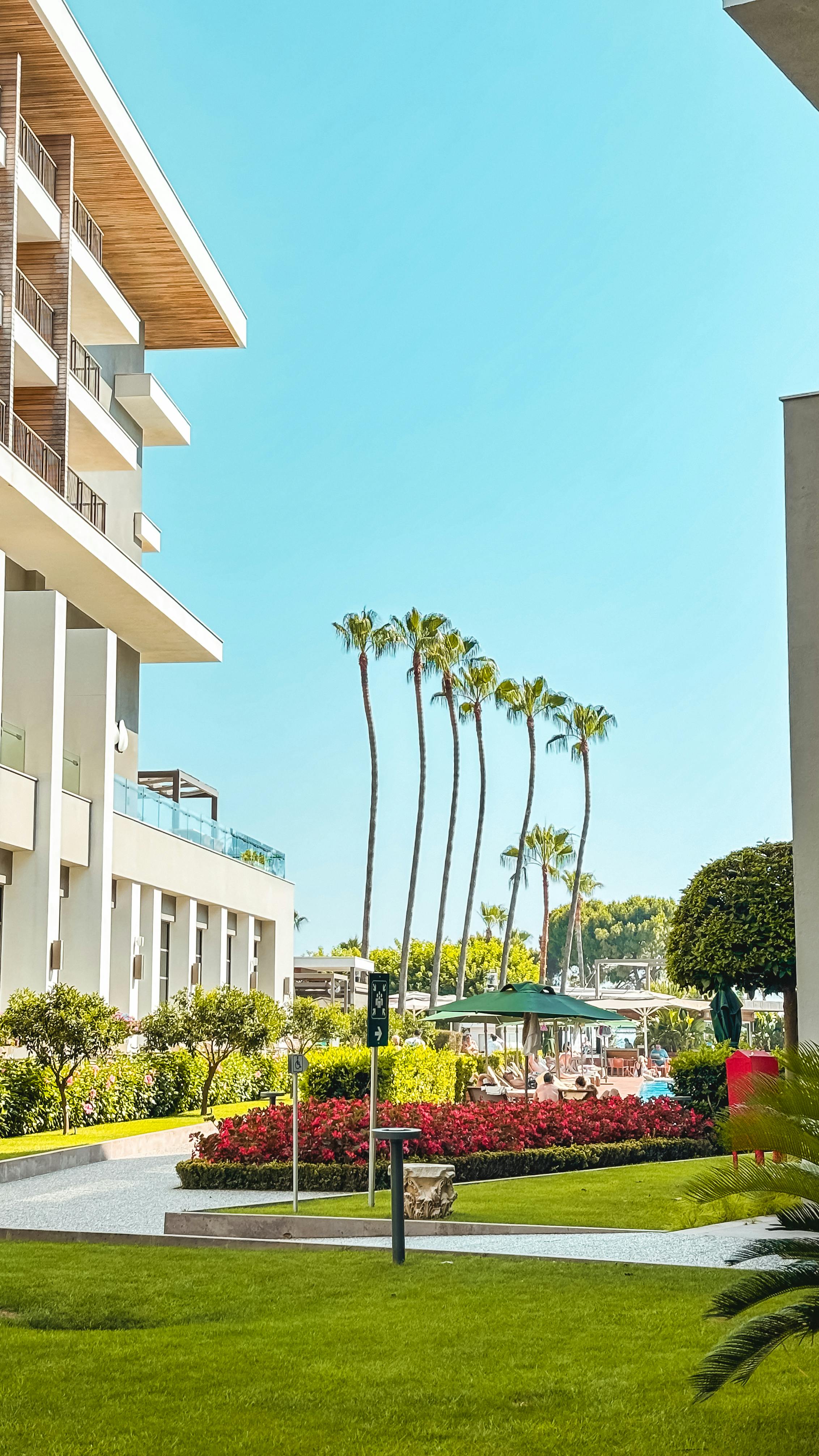 Luxurious Hotel Exterior with Palm Trees · Free Stock Photo
