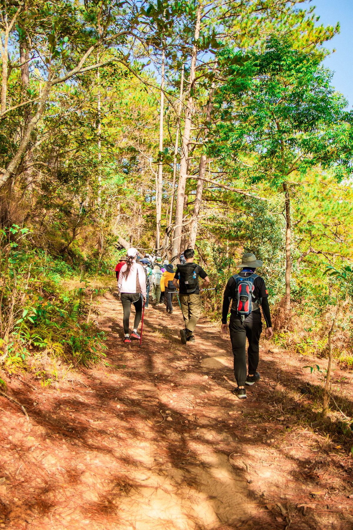 Hiking Trail Photos, Download The BEST Free Hiking Trail Stock Photos ...