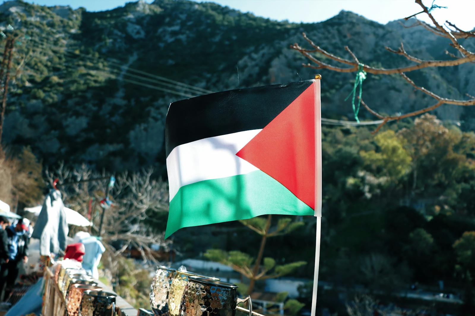 Palestinian Flag Photos, Download The BEST Free Palestinian Flag Stock ...