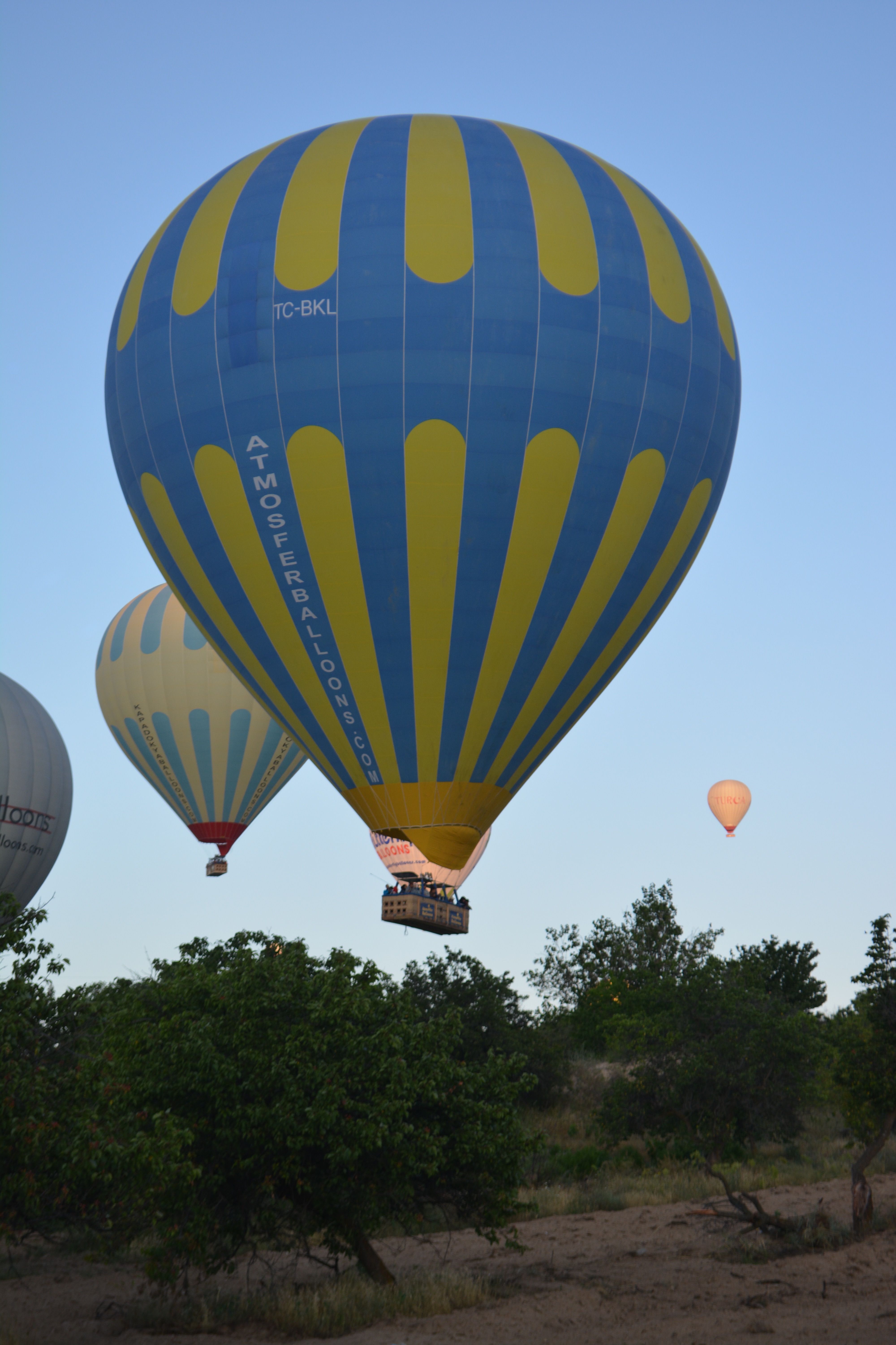Hot Air Balloon Floating · Free Stock Photo