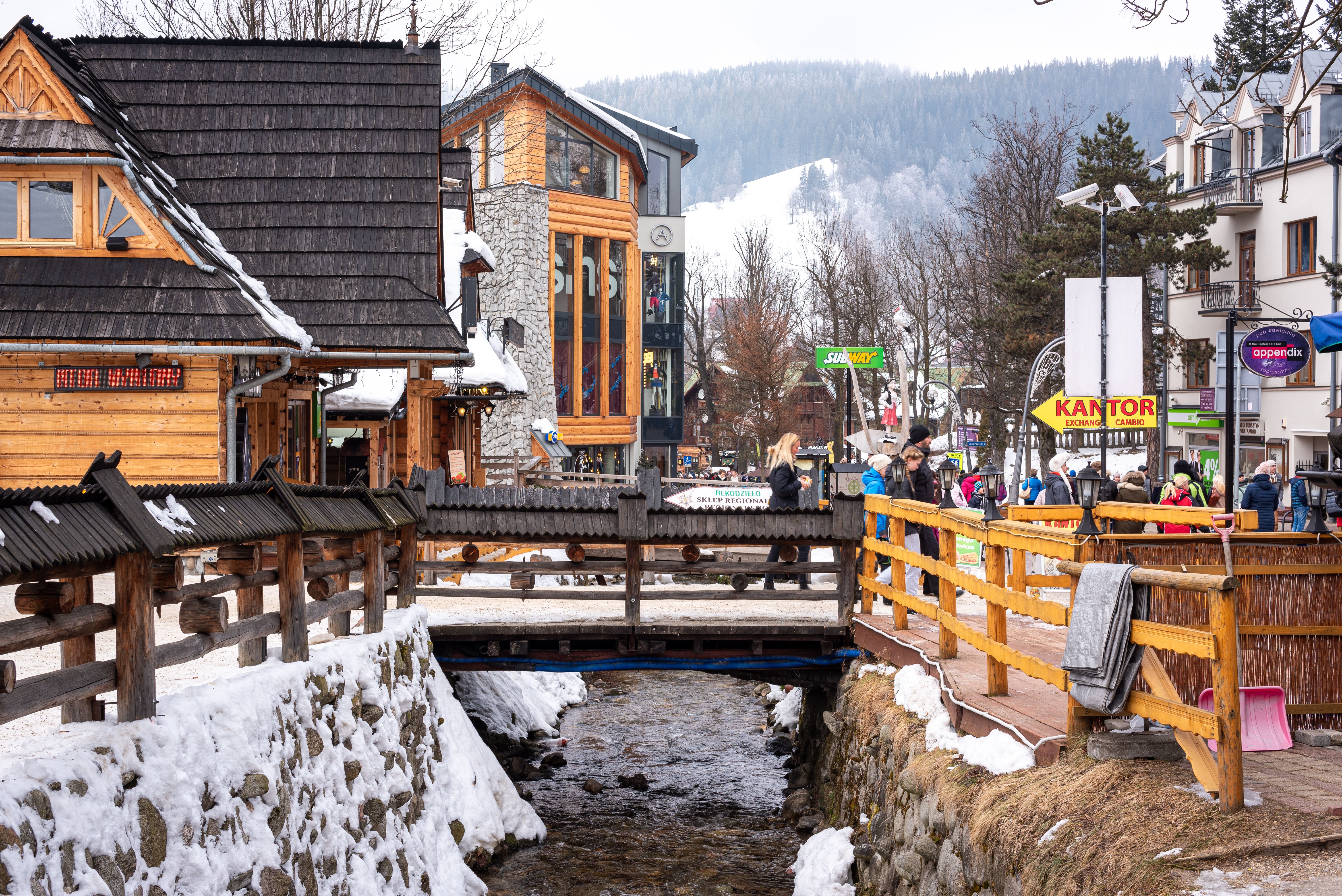 Winter Scene in Zakopane, Poland's Tatra Mountains · Free Stock Photo