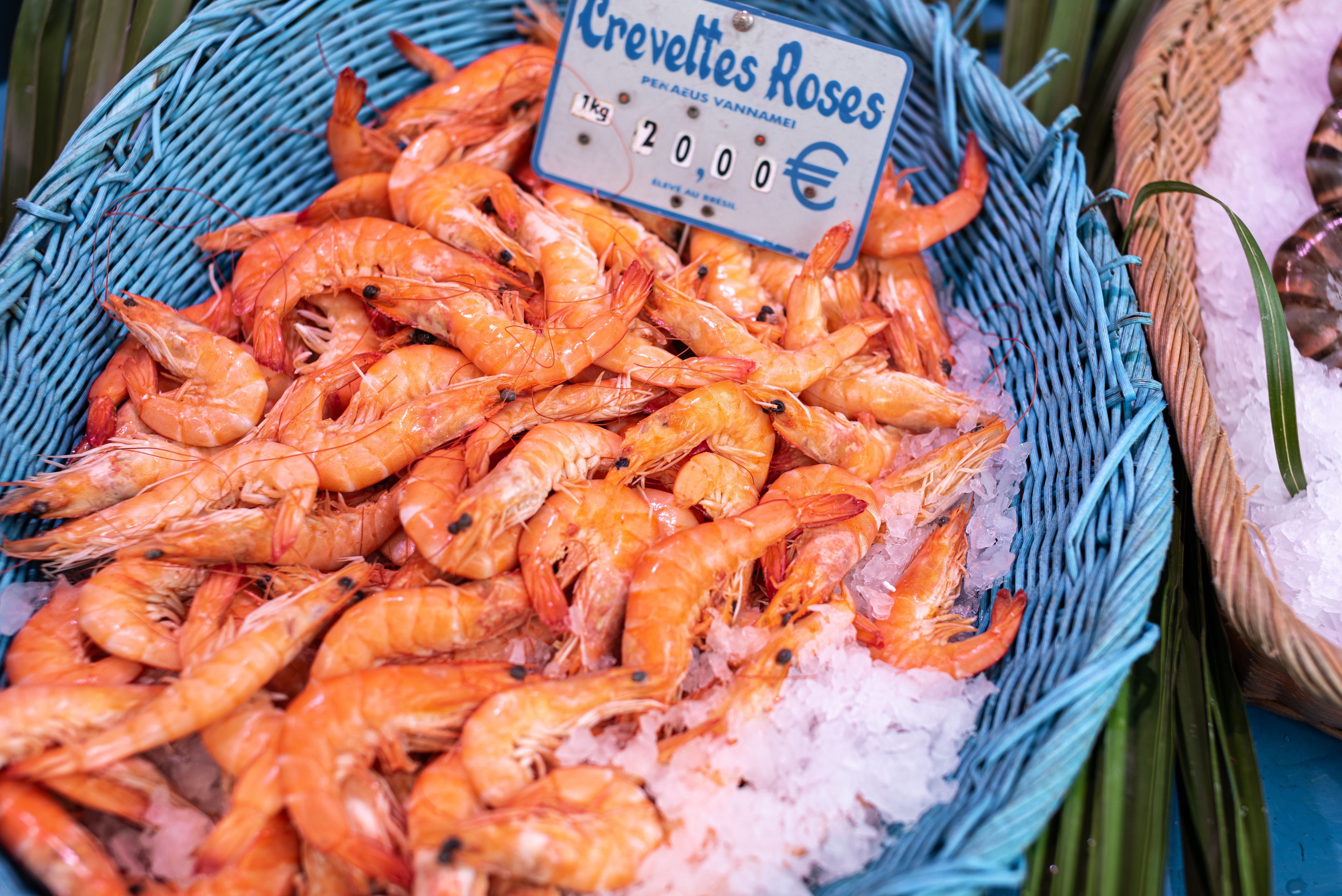Fresh Seafood Display in Paris Market · Free Stock Photo