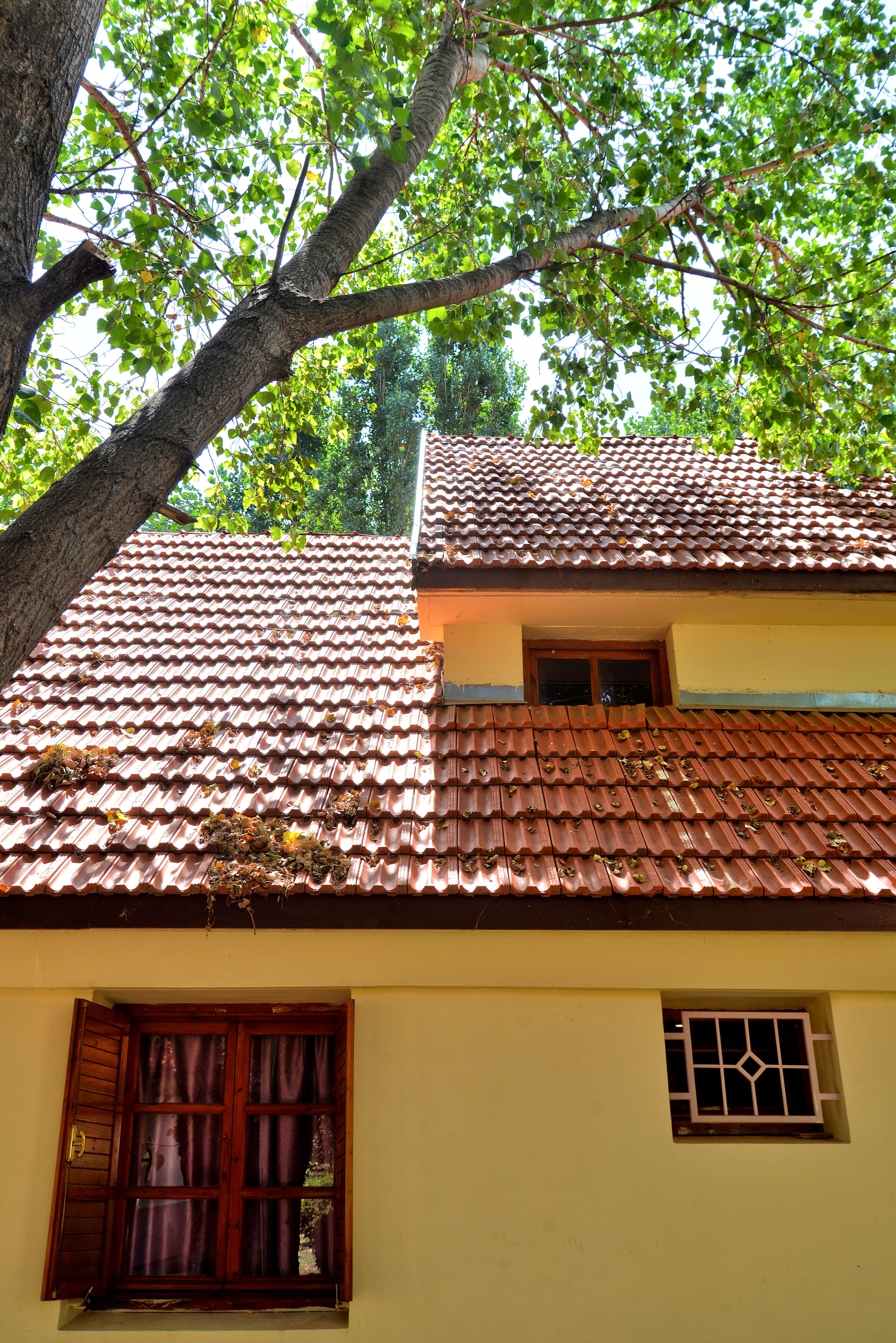 Charming House Facade in Ifrane Morocco · Free Stock Photo