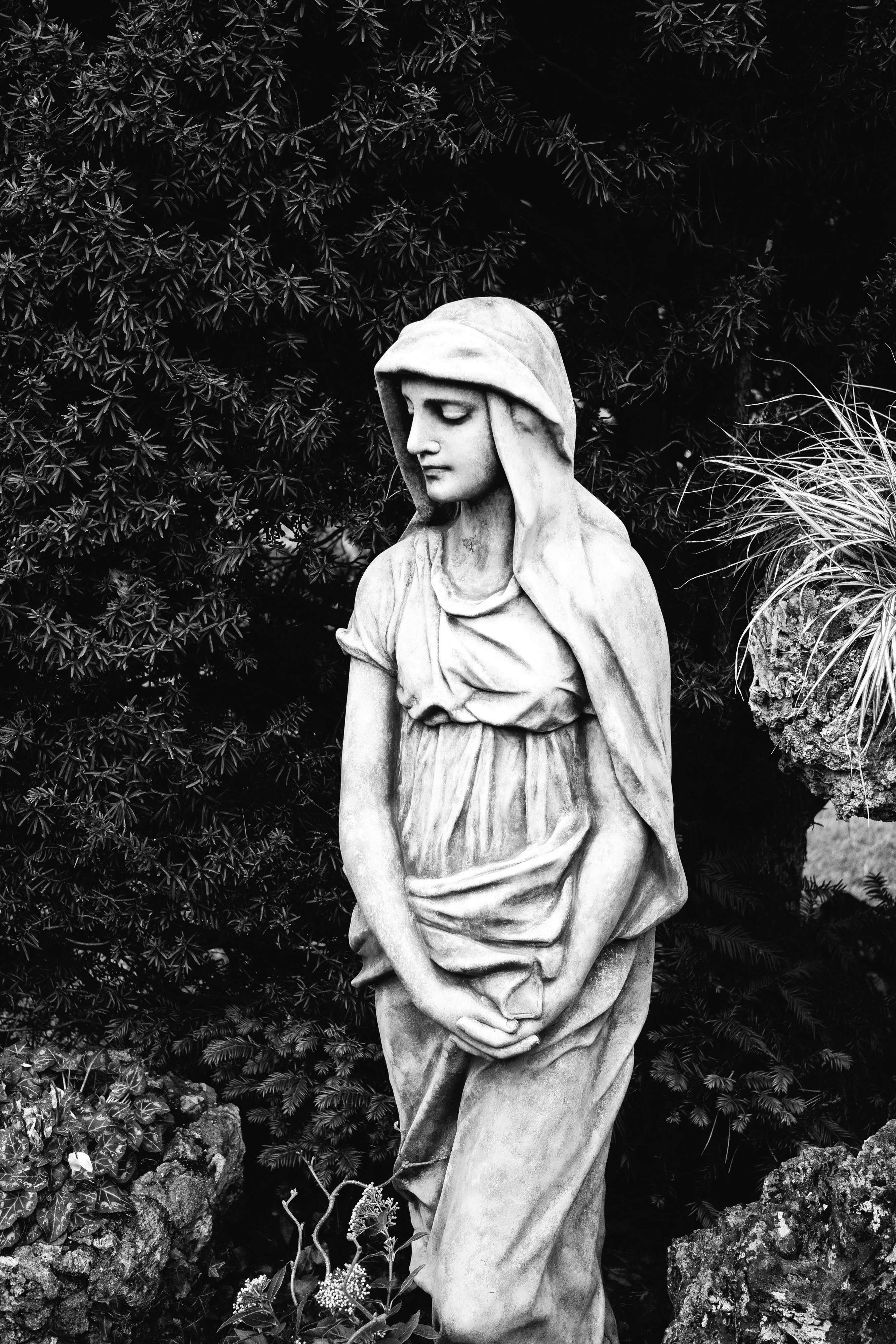 Christian Morillo 1181244 Photos, Download The BEST Free Christian ...