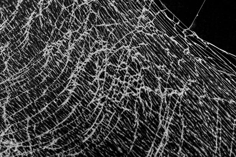 Cracked Images Photos, Download The BEST Free Cracked Images Stock ...