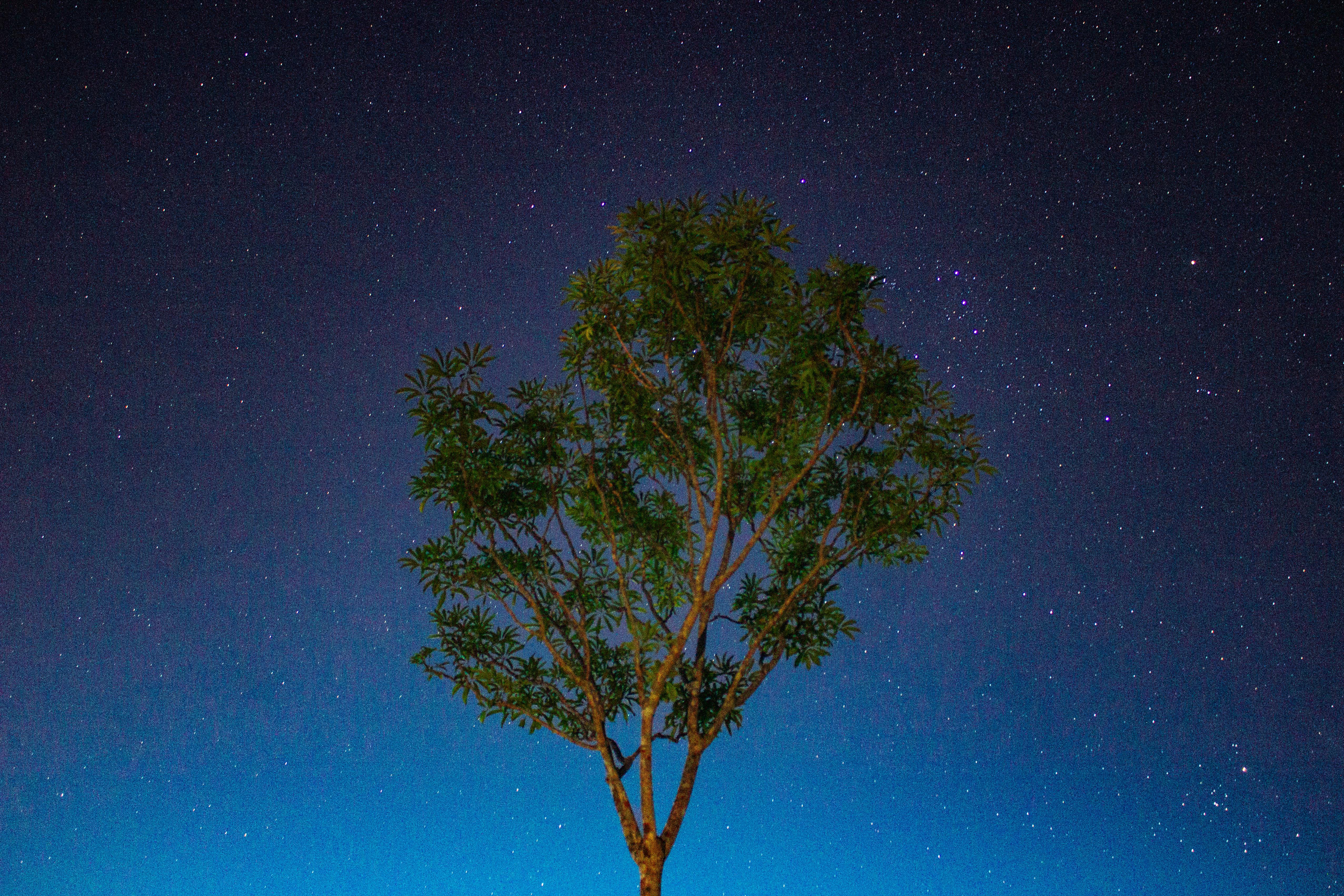 Scenery Sky Chill Photos, Download The BEST Free Scenery Sky Chill ...