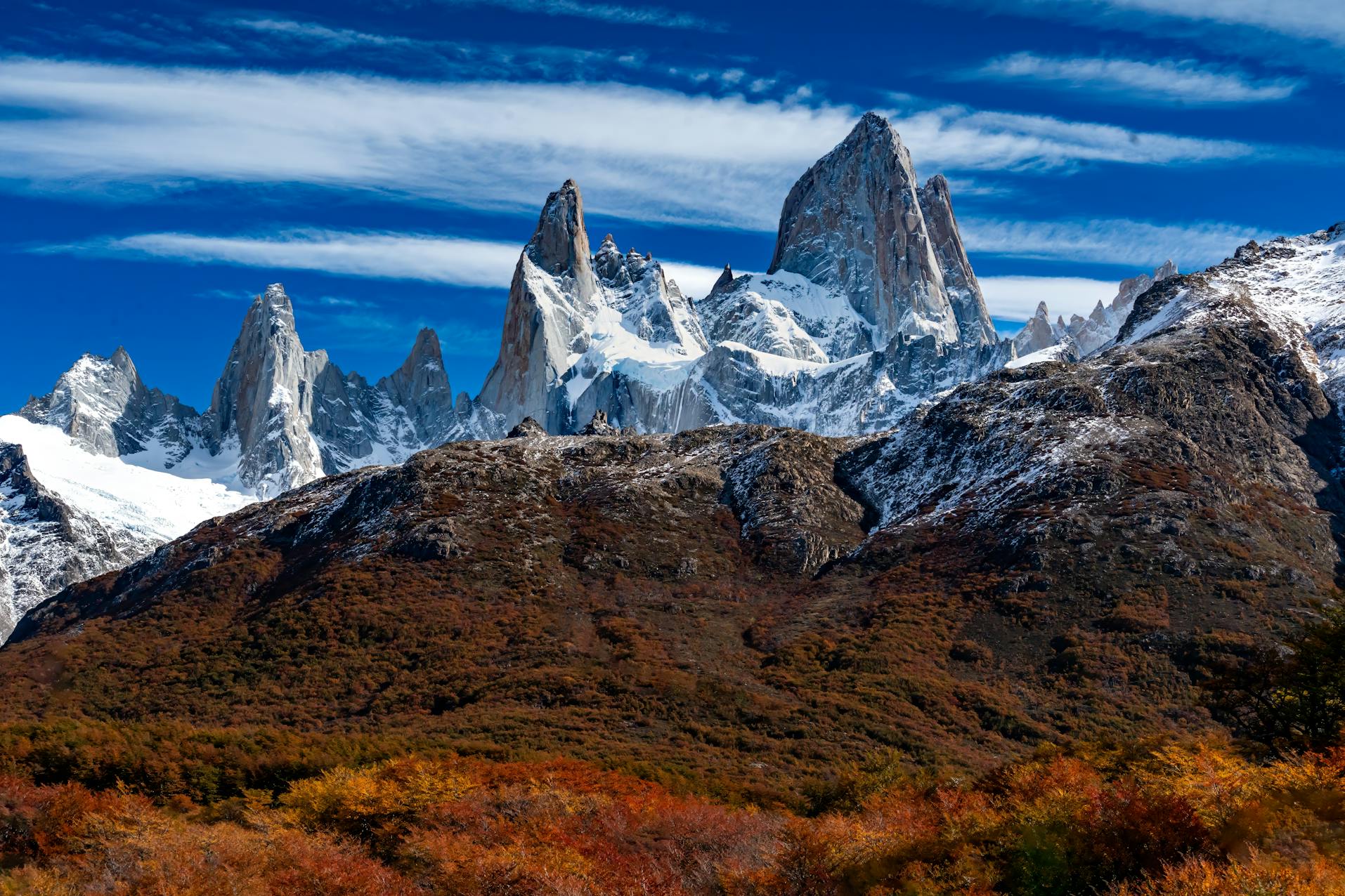 Understanding the Life Cycle of Amphibians: A Complete Guide