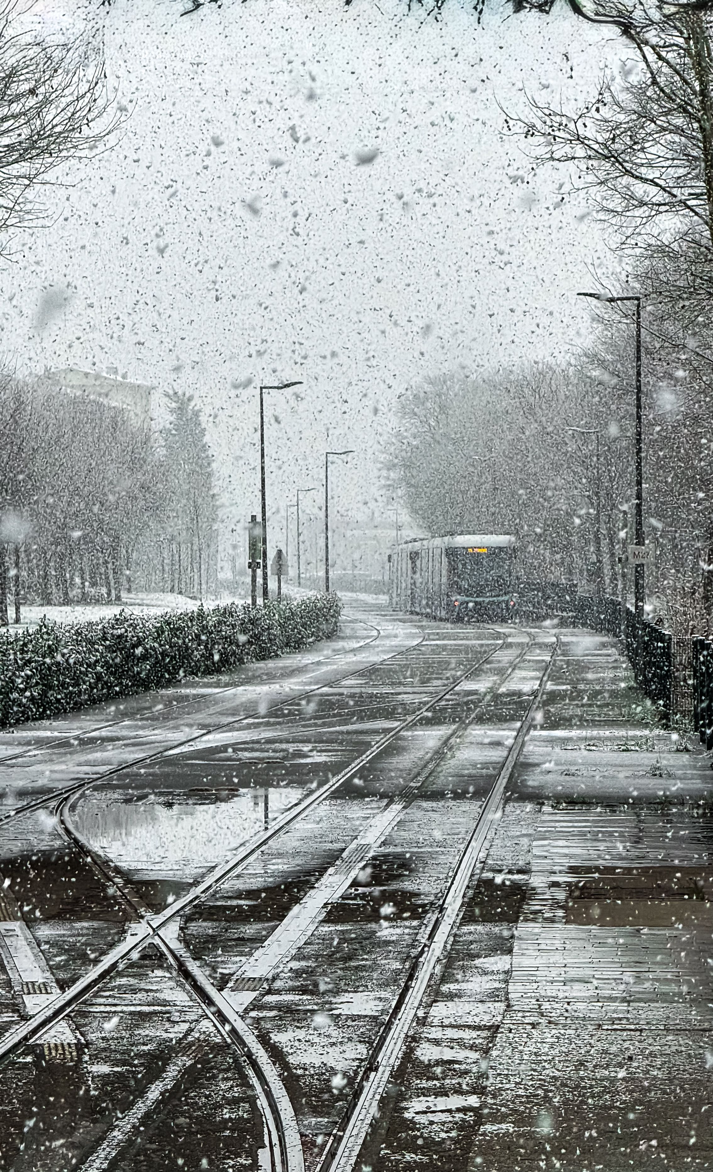 Snowy Tramway Scene in İstanbul Winter · Free Stock Photo