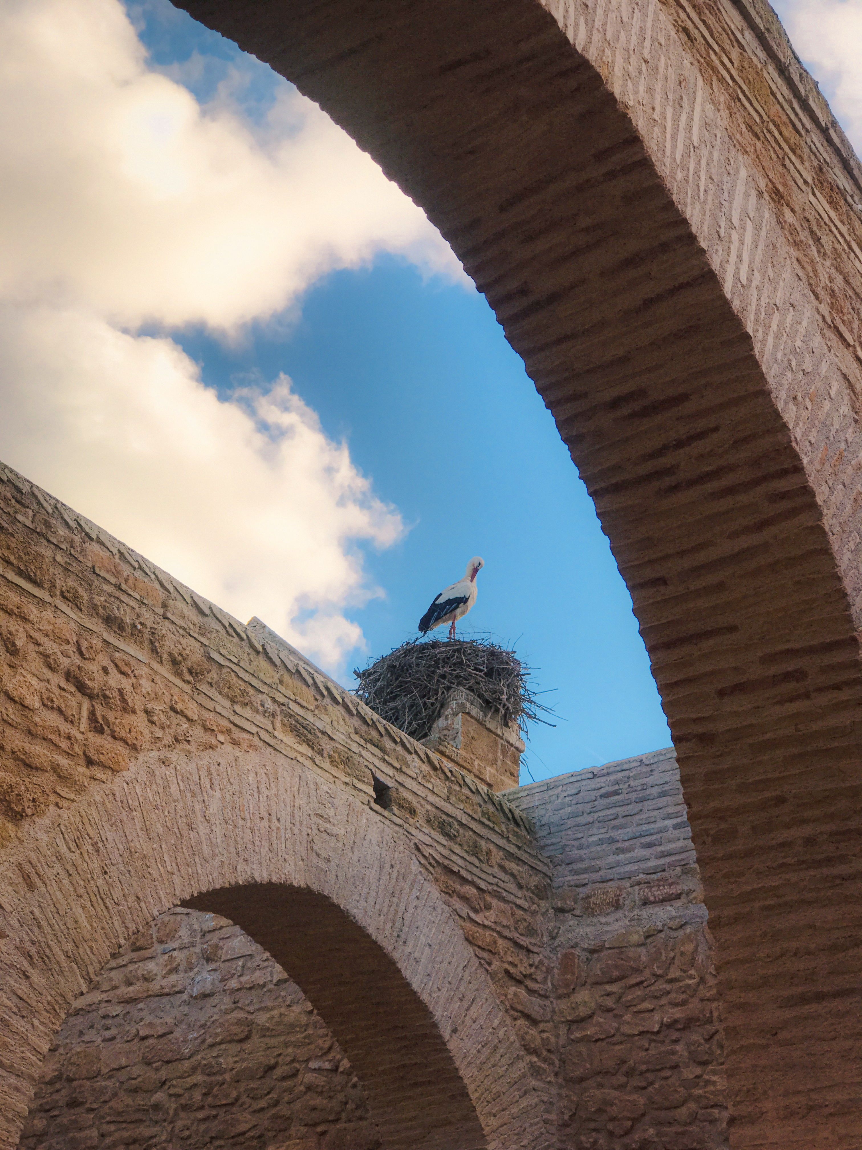 Stork Nesting on Ancient Stone Archway · Free Stock Photo