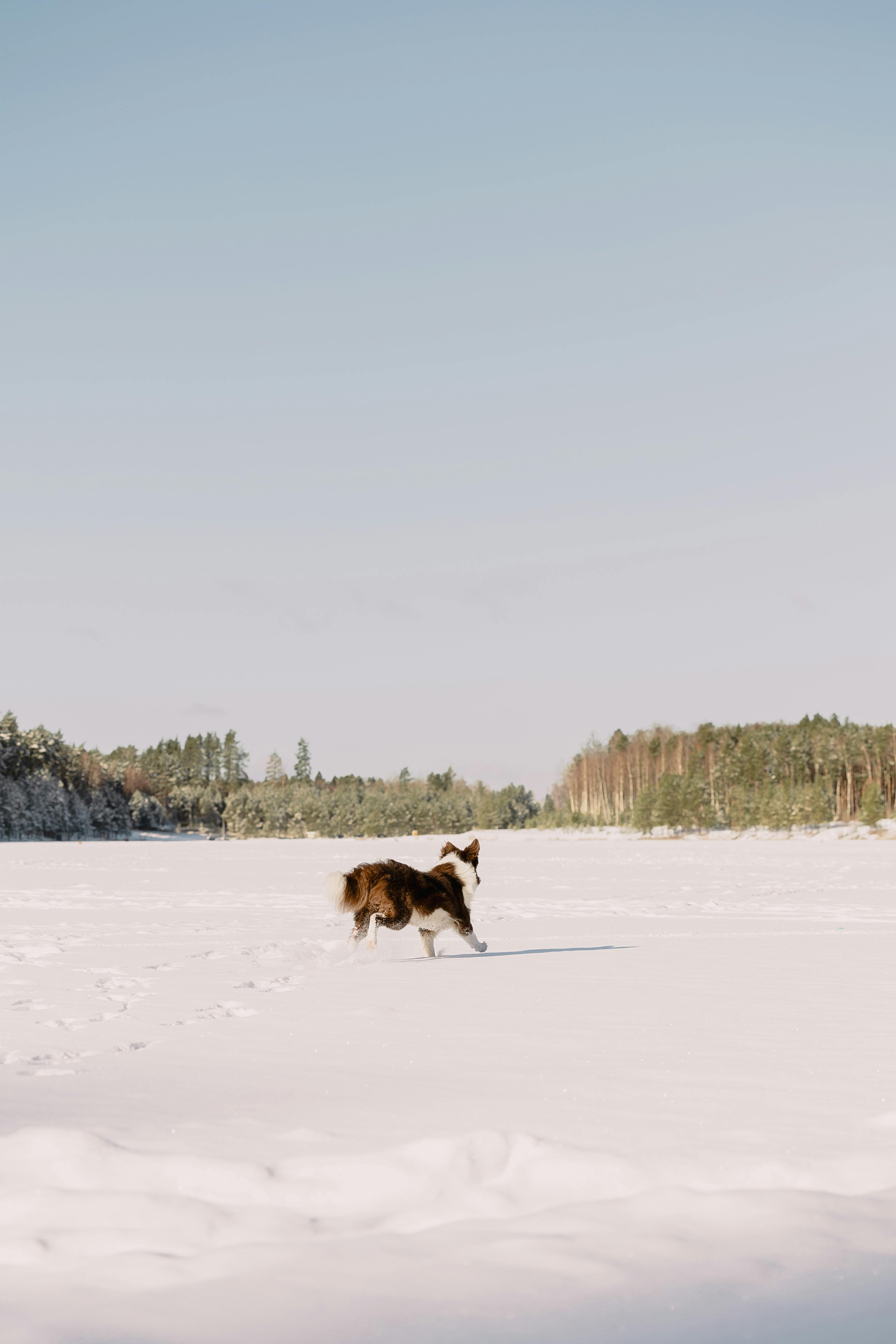 Excessive Exercise Photos, Download The BEST Free Excessive Exercise ...