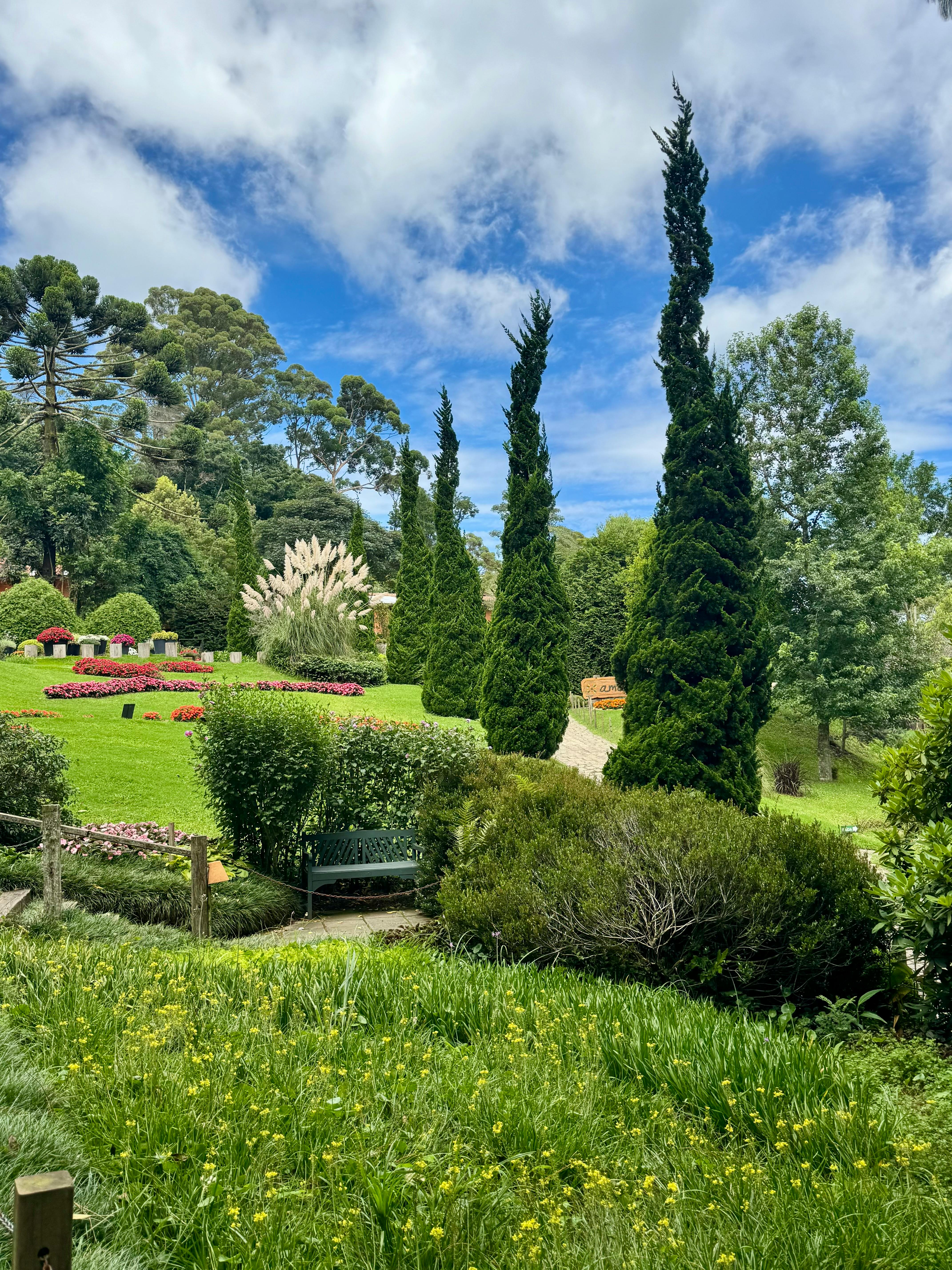 Shrubs Photos, Download The BEST Free Shrubs Stock Photos & HD Images