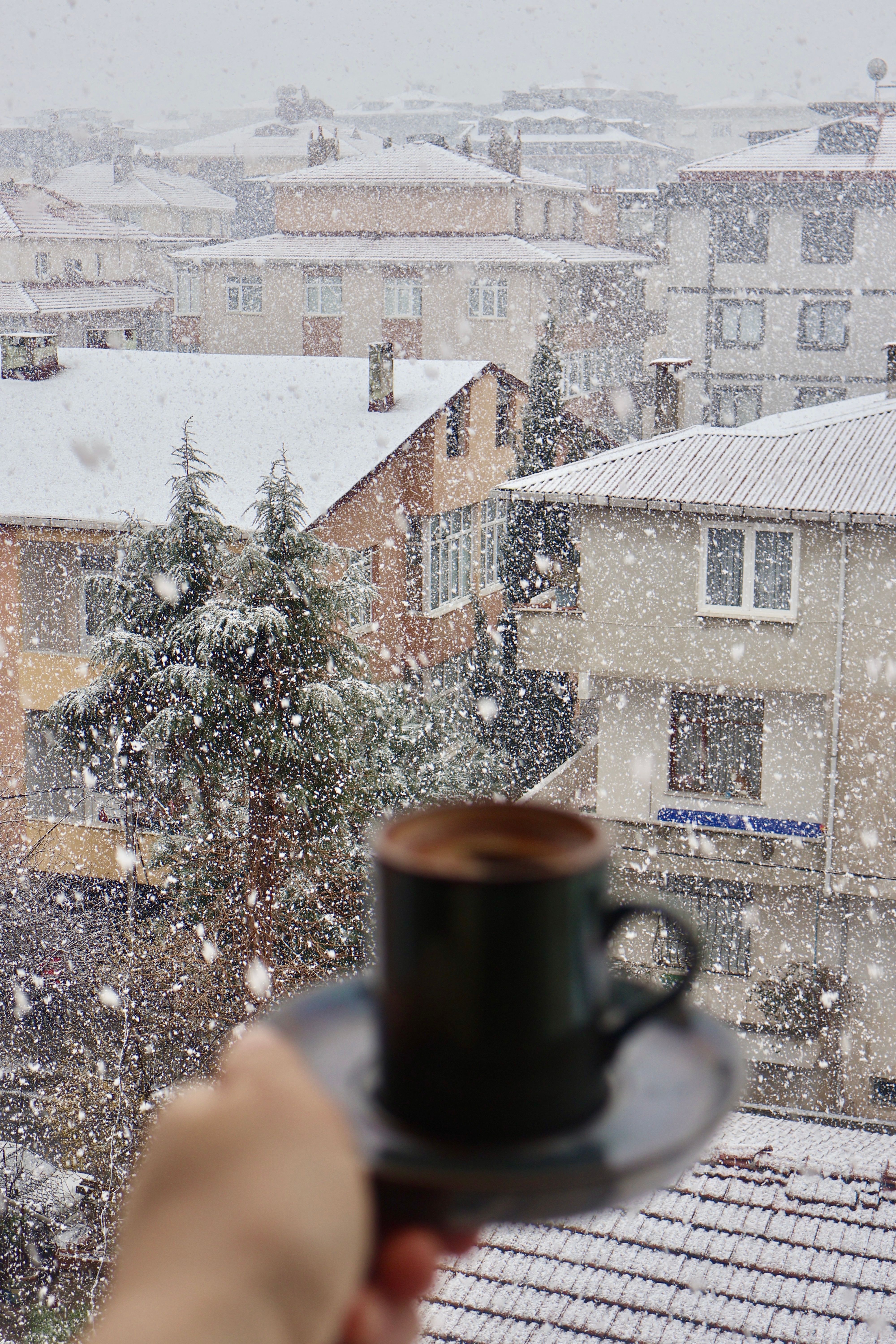 Winter morning coffee with snowfall view · Free Stock Photo
