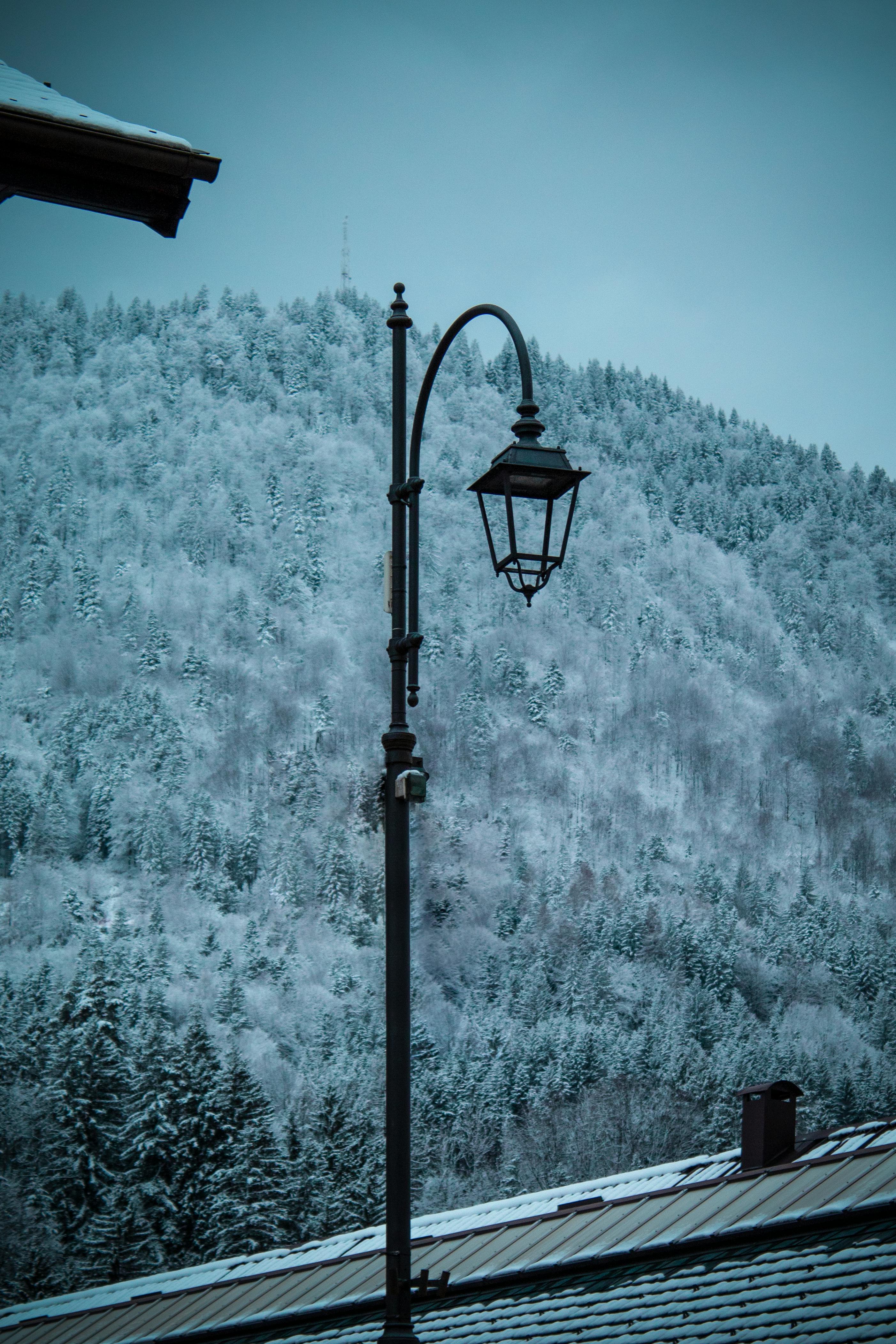 Snowy Lamp Post in Tarvisio, Italy · Free Stock Photo