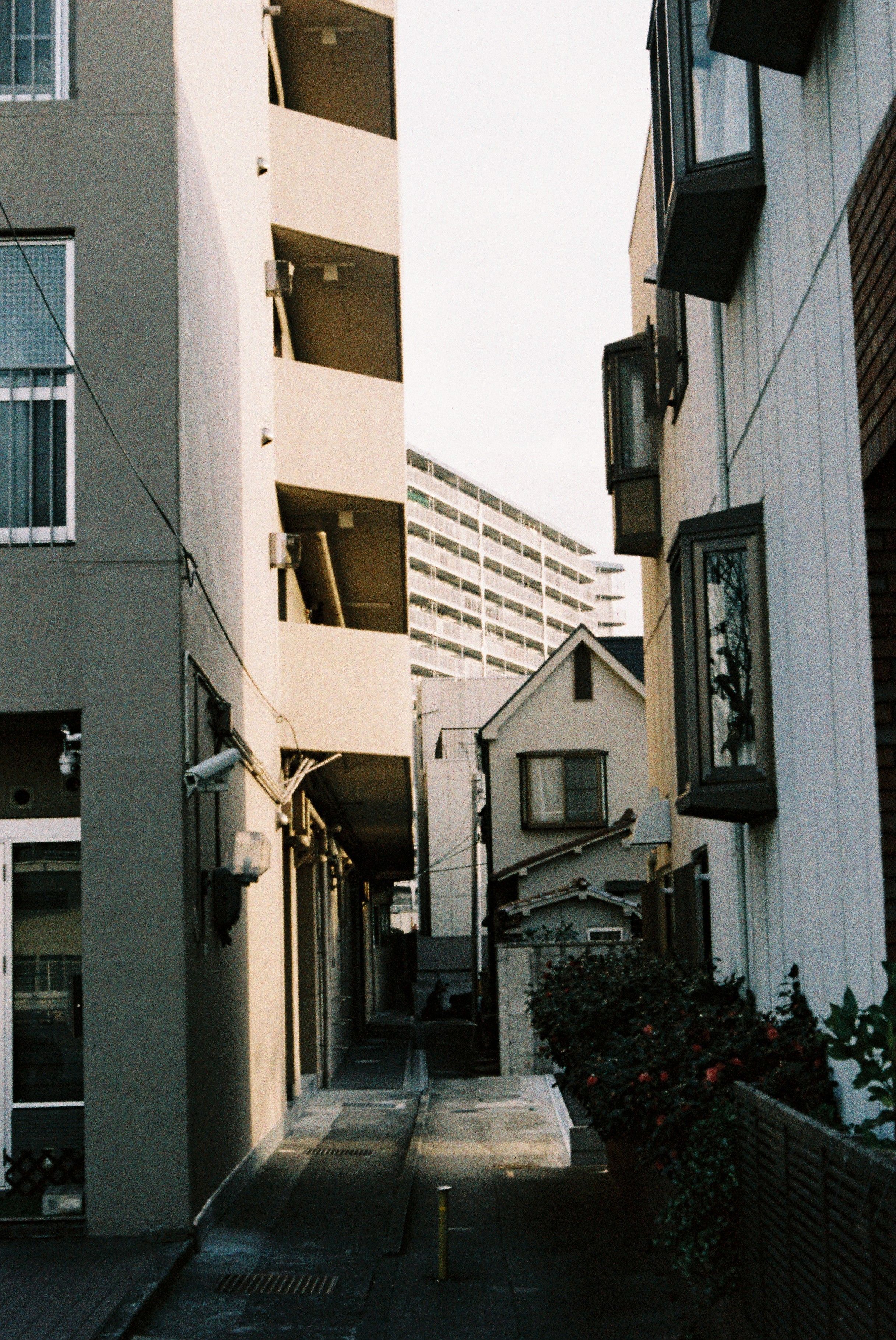 Serene Urban Alleyway in Osaka, Japan · Free Stock Photo
