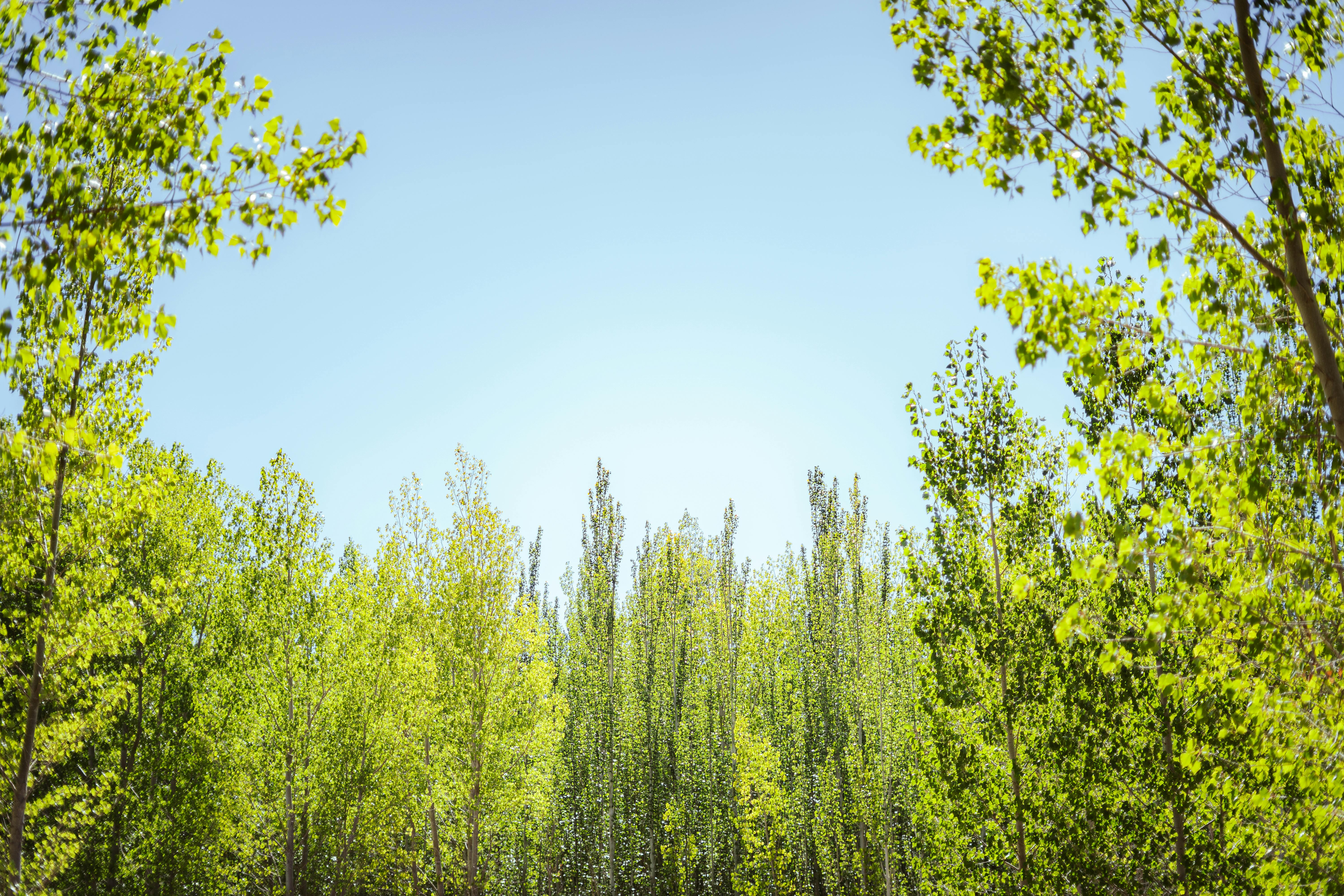 Dissolved Oxygen Photos, Download The BEST Free Dissolved Oxygen Stock ...