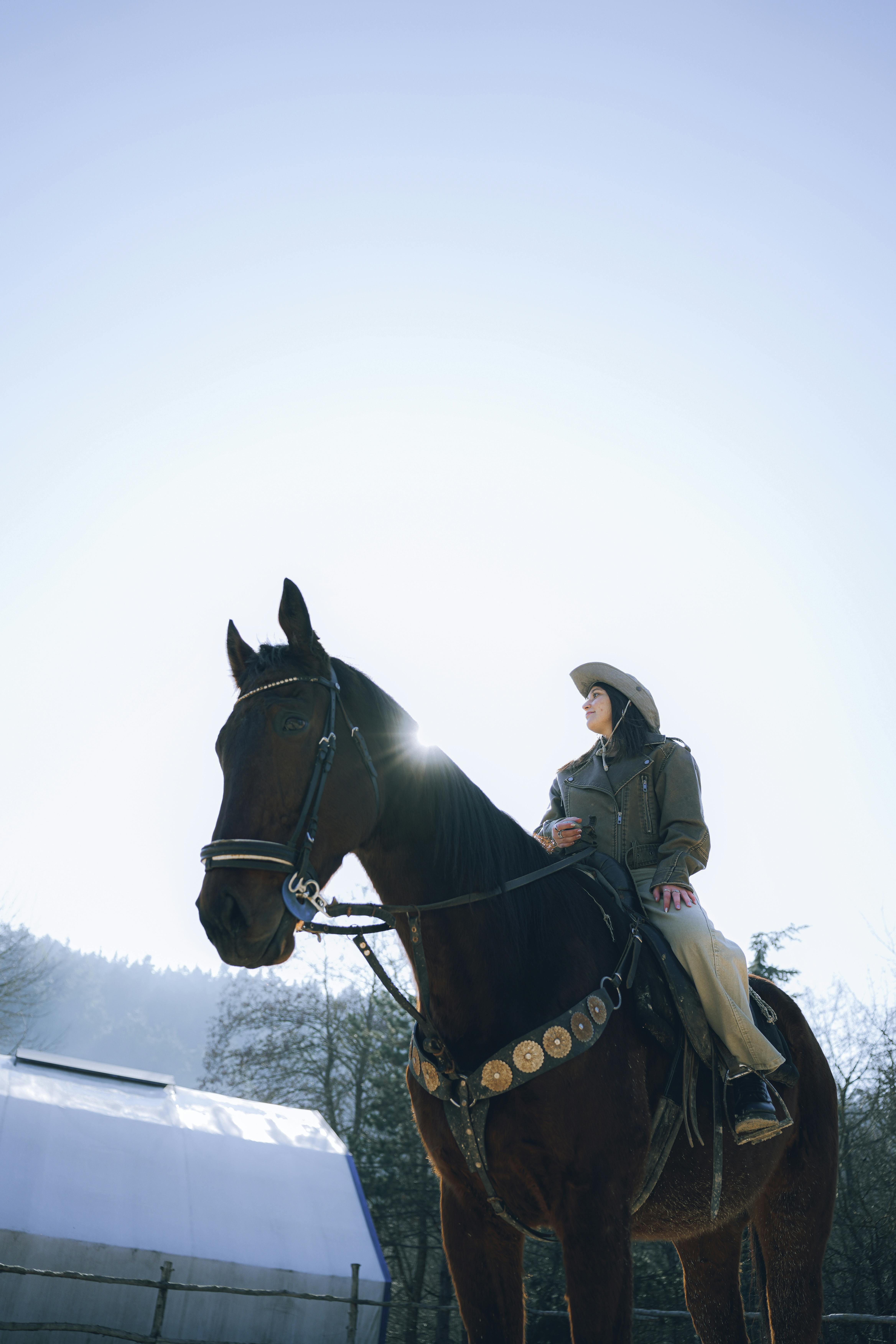 Free Ride Horse Photos, Download The BEST Free Free Ride Horse Stock ...