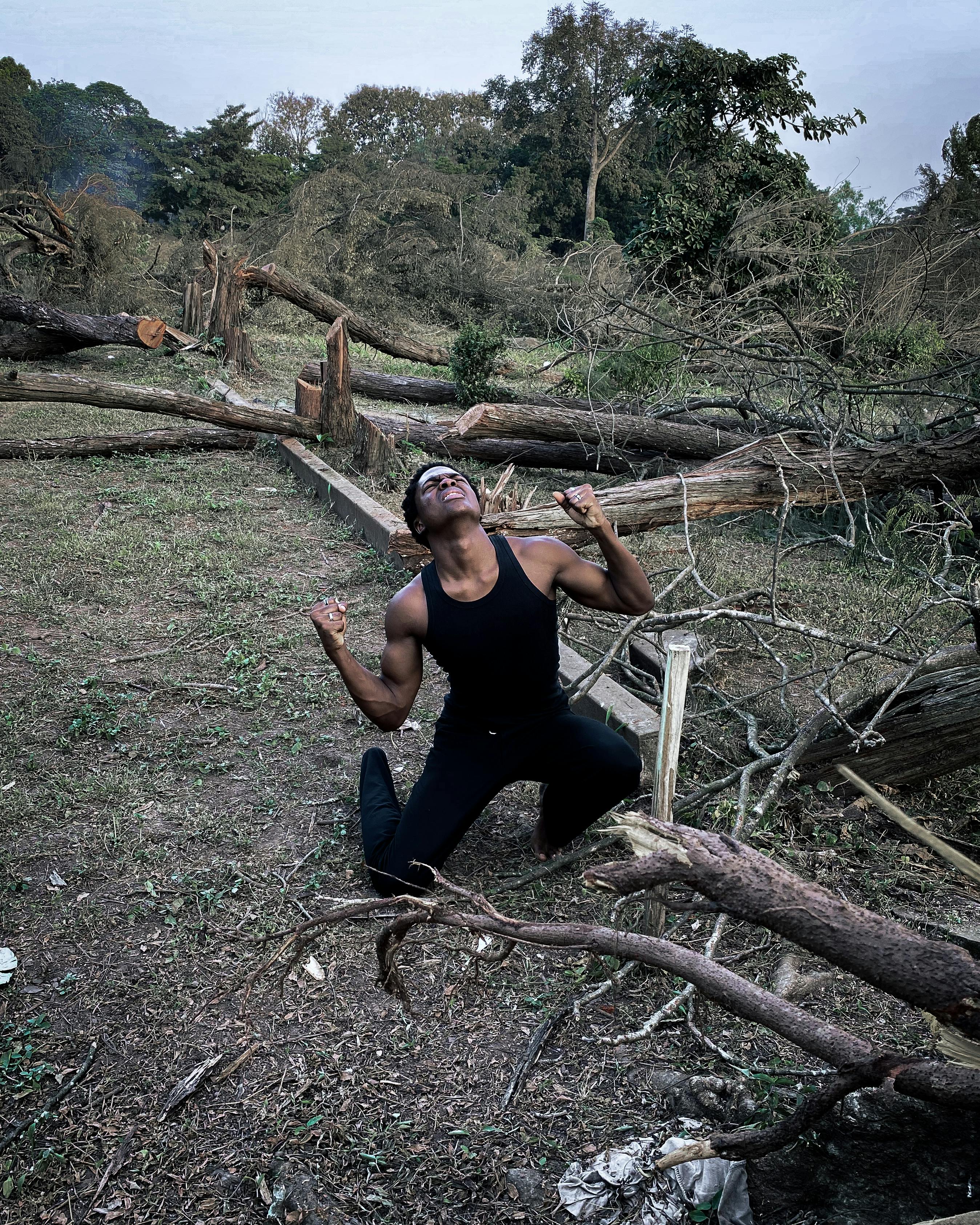 Man triumphantly kneeling among fallen trees · Free Stock Photo