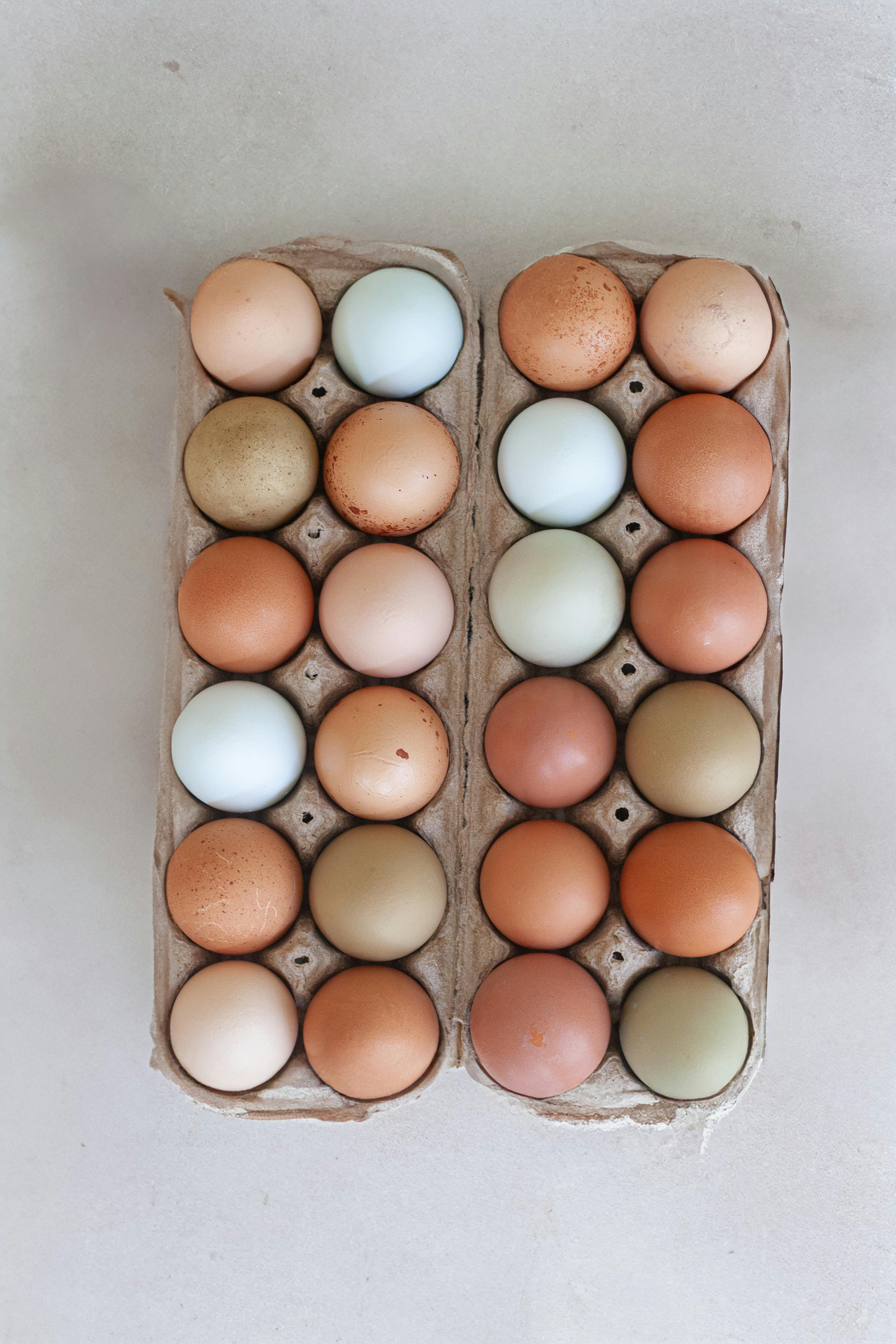 Colorful Array of Farm Fresh Eggs in Carton · Free Stock Photo