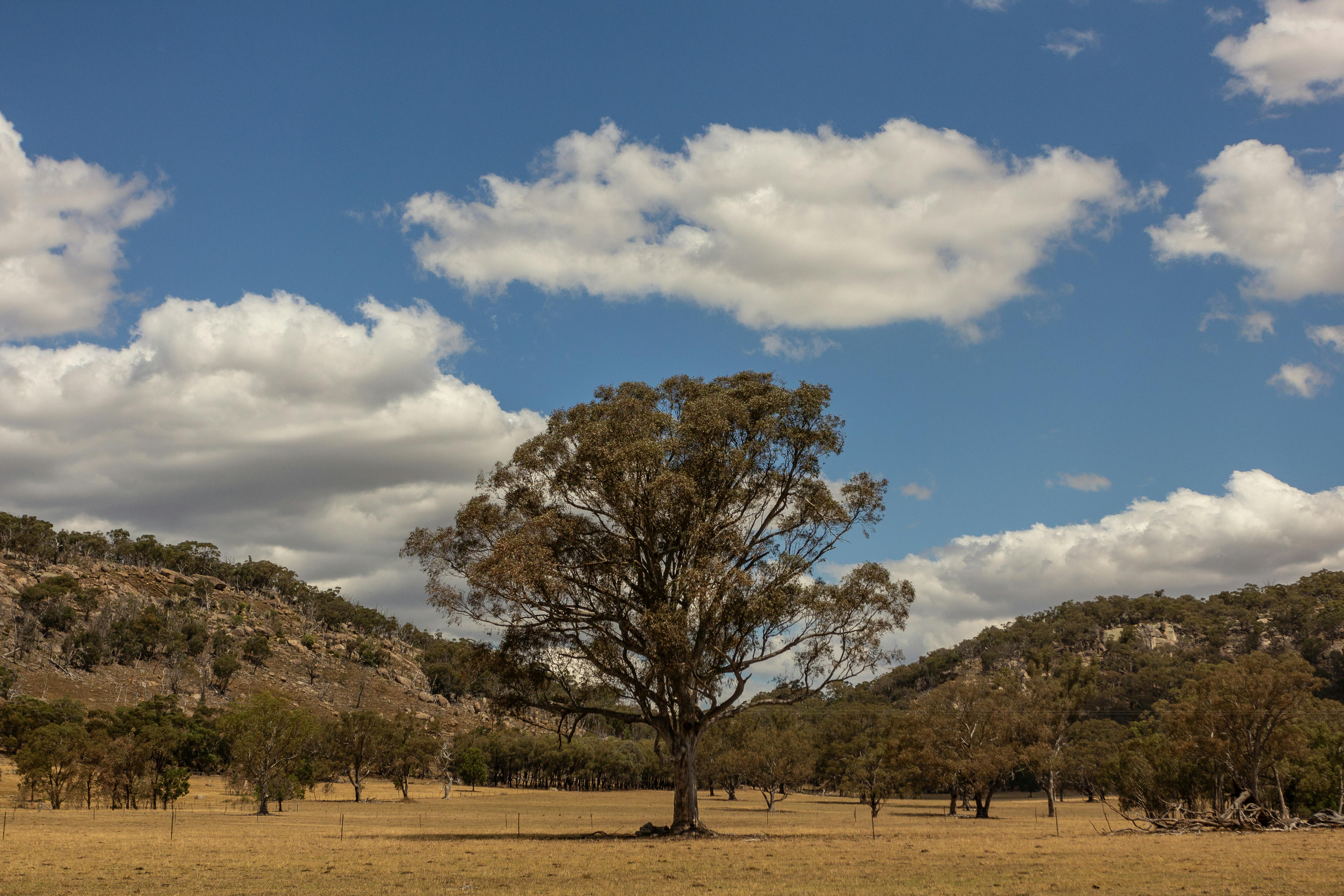 Australian Outback Background Photos, Download The BEST Free Australian ...