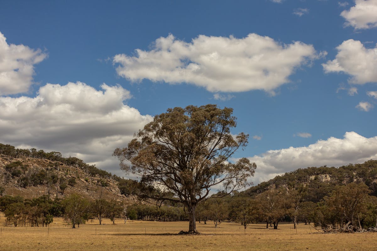 Australian Outback Photos, Download The BEST Free Australian Outback ...