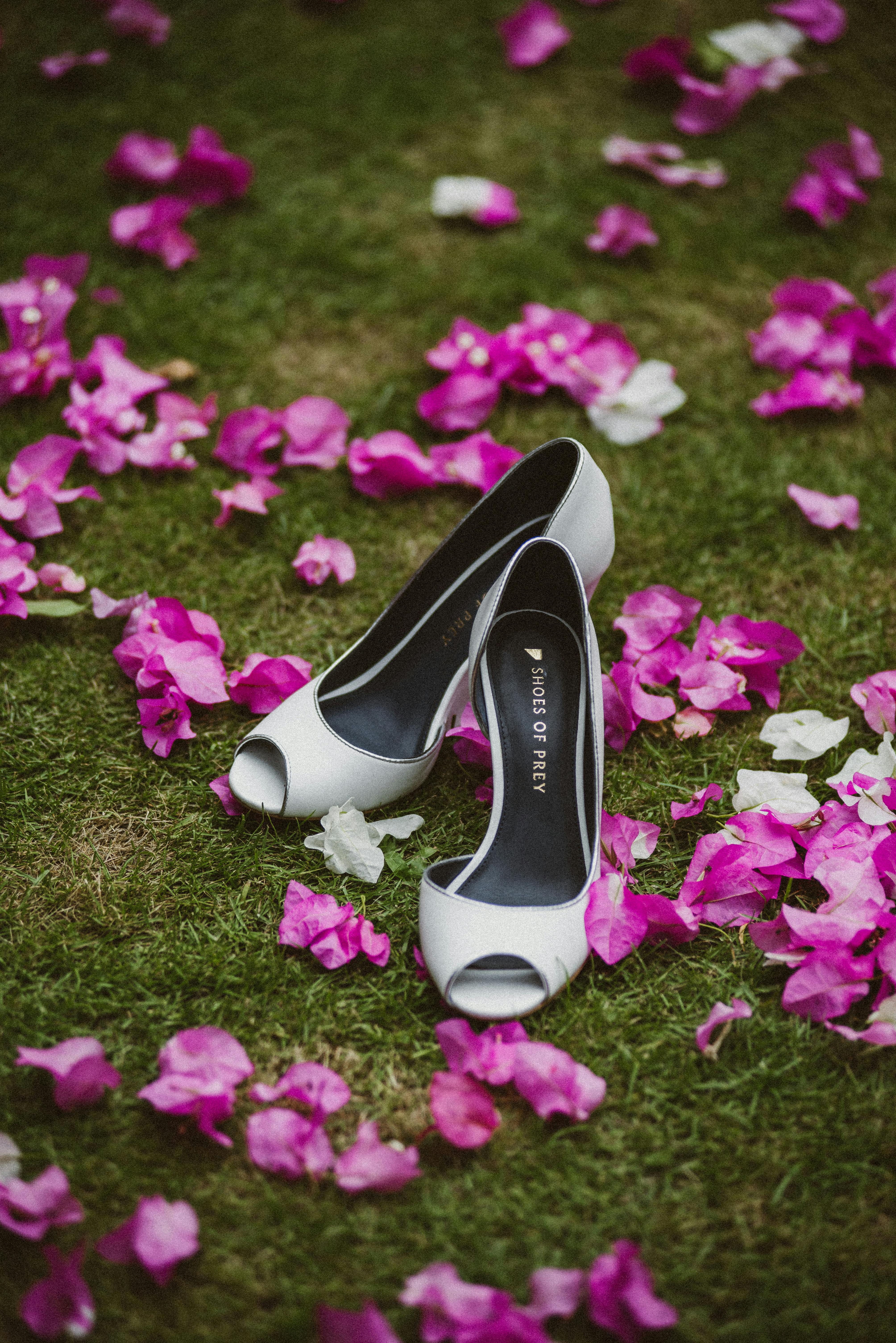Elegant White Heels Amid Pink Petals on Grass · Free Stock Photo