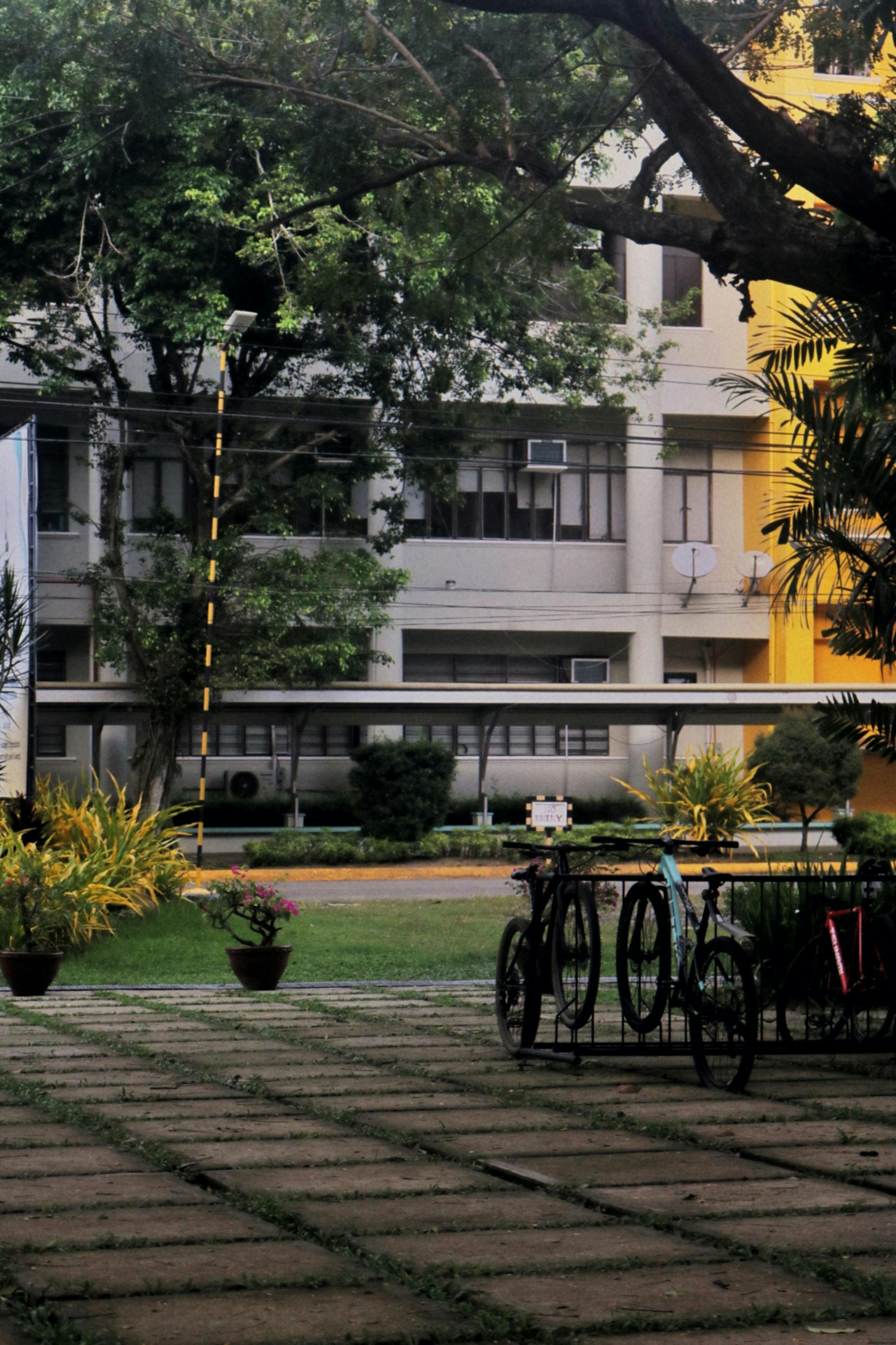 Urban Scene of Bicycles in Philippine Campus · Free Stock Photo