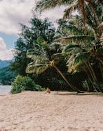 Beach+Creepshots Photos, Download The BEST Free Beach+Creepshots Stock ...