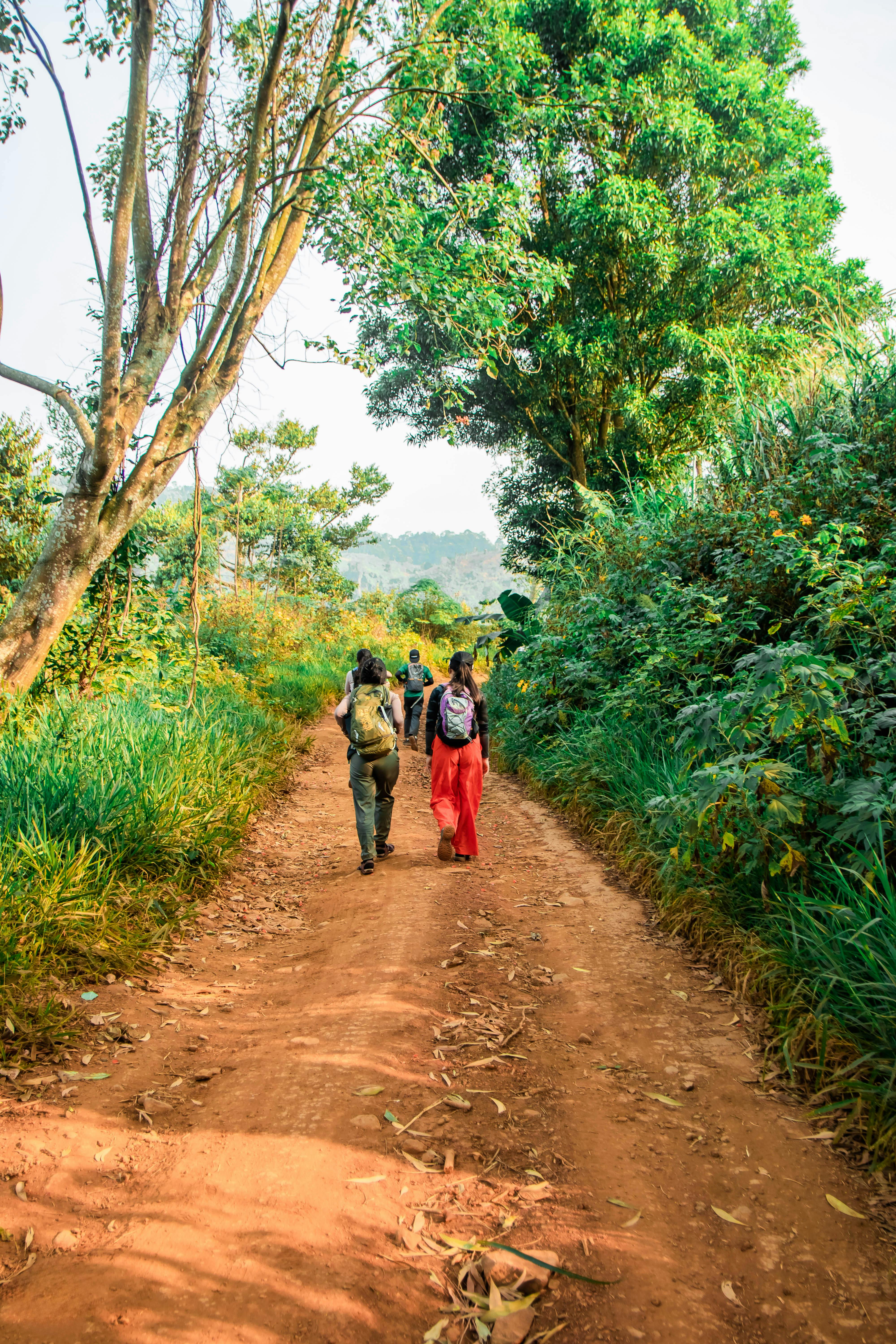 Edit Panle After Effacts Photos, Download The BEST Free Edit Panle ...