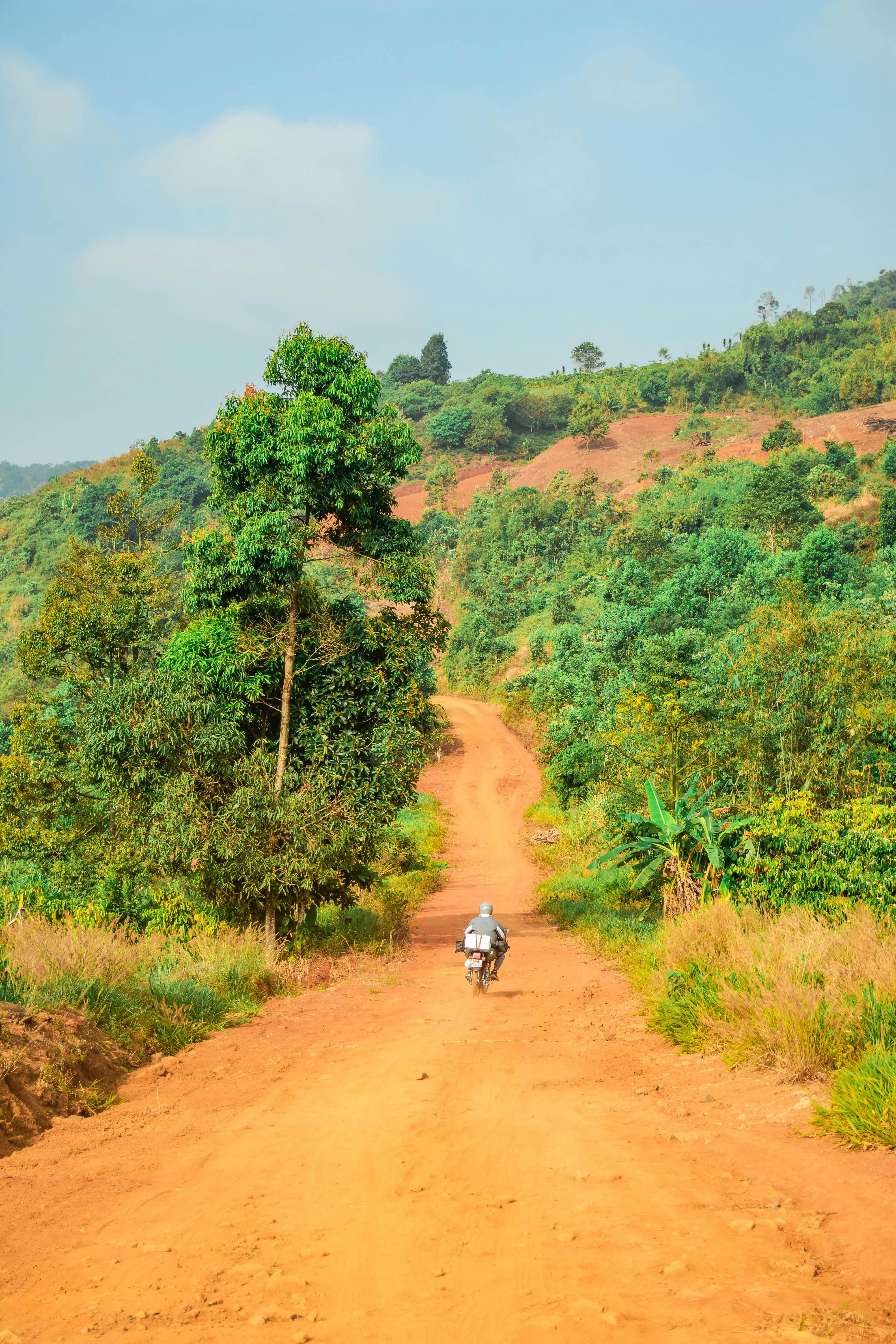 Dirt Road · Free Stock Photo