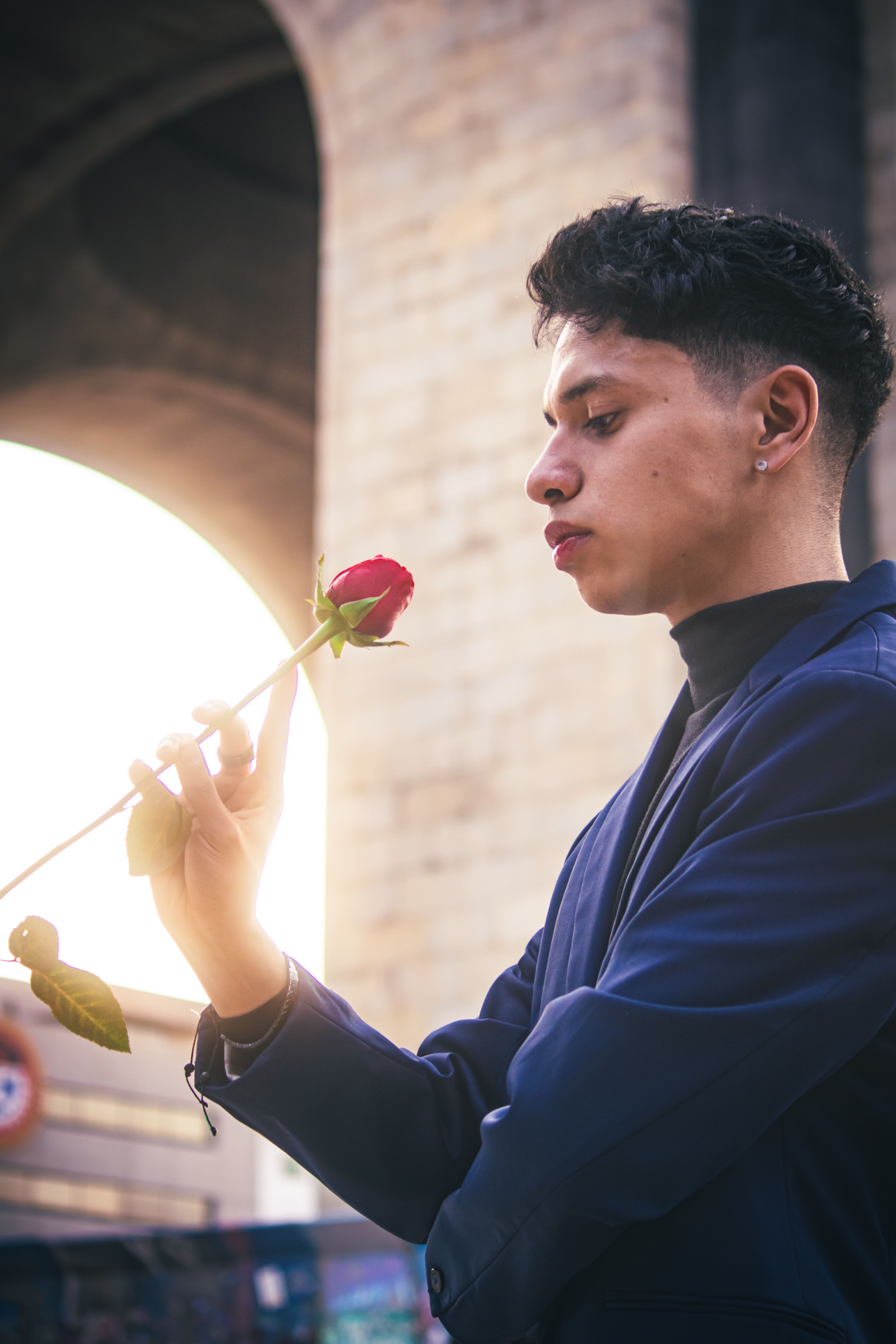 Rose Appreciation Photos, Download The BEST Free Rose Appreciation ...
