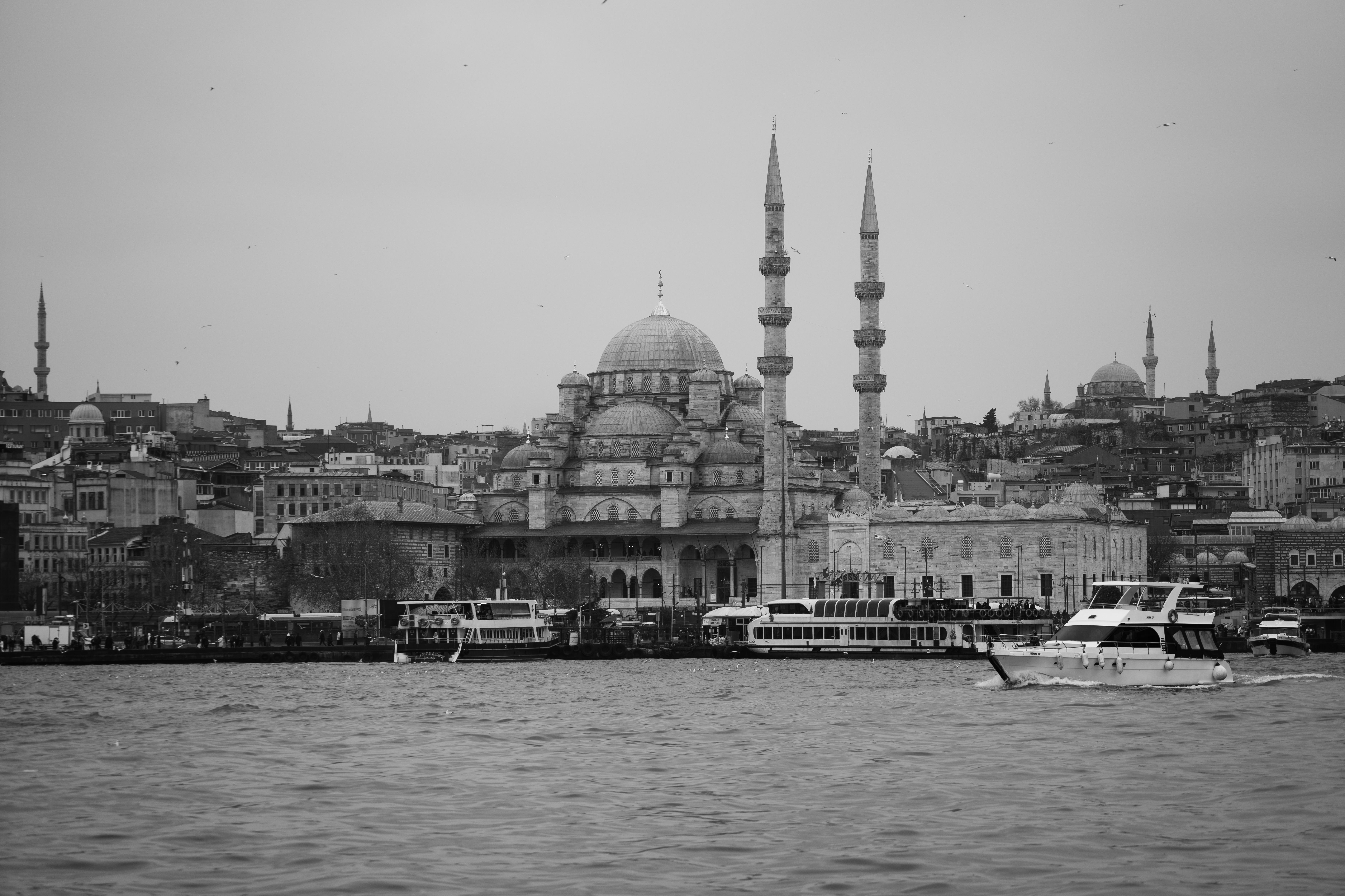 Black and White Istanbul Cityscape with Mosque · Free Stock Photo