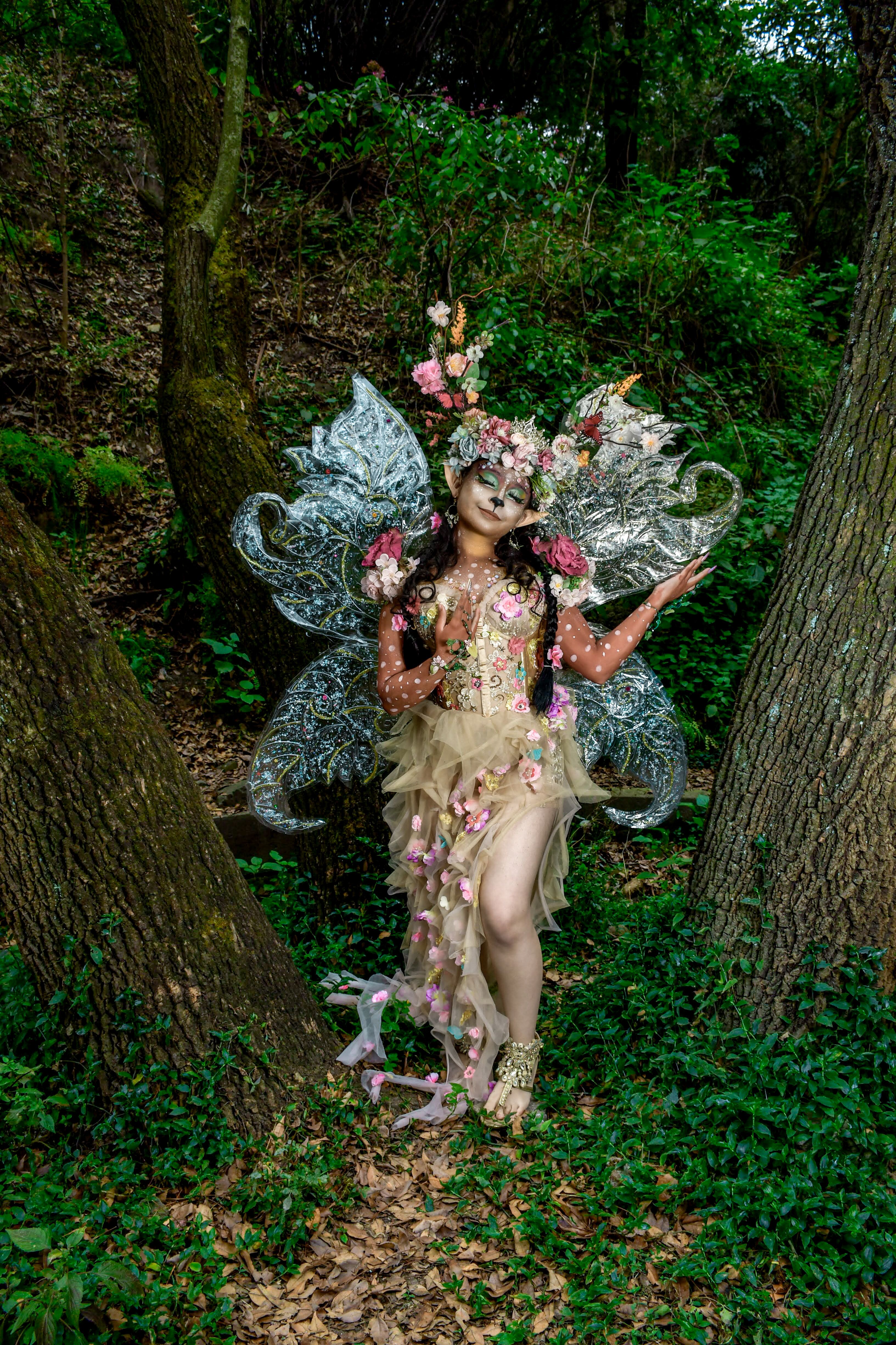 Enchanted Fairy in Woodland Setting · Free Stock Photo