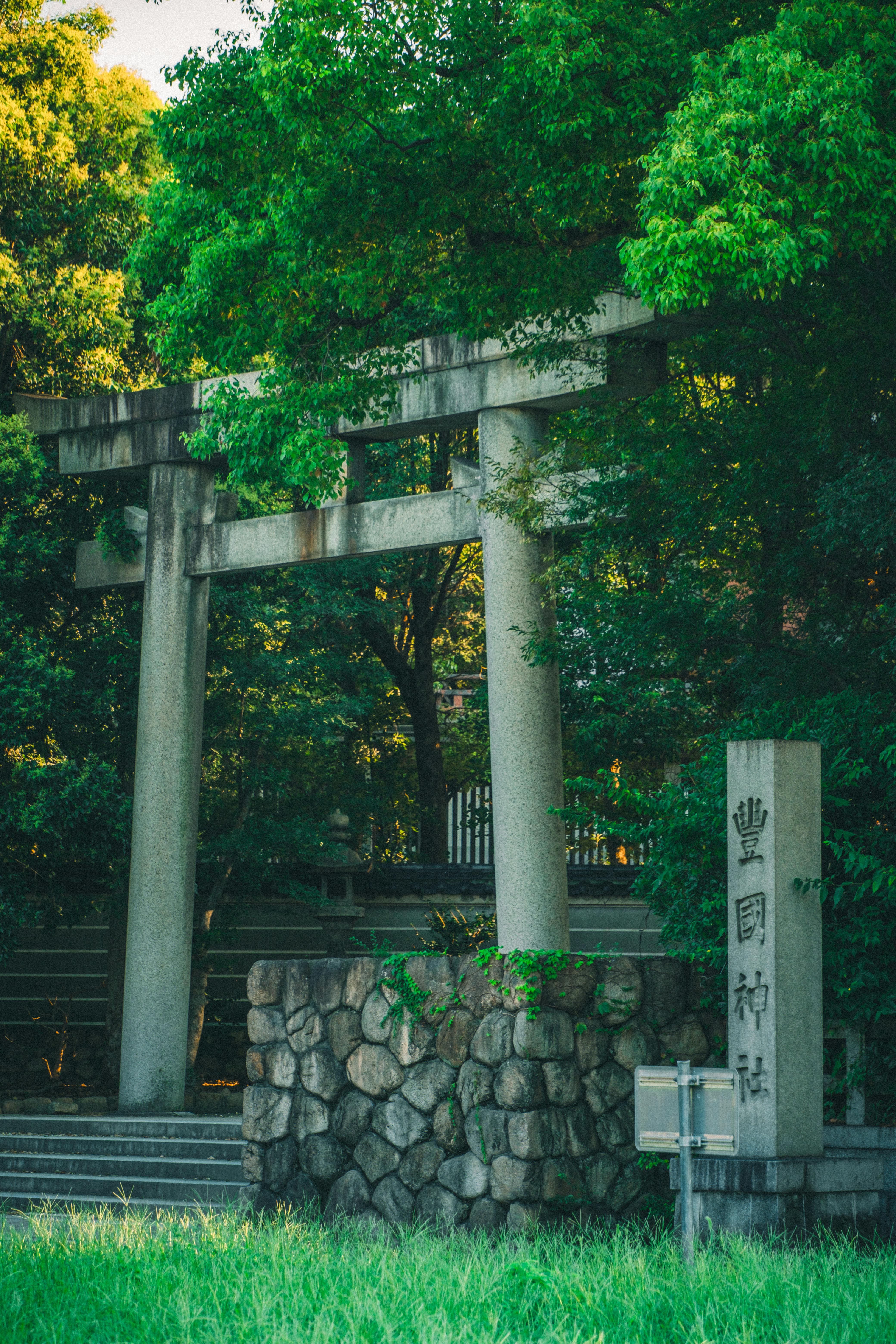 Traditional Japanese Torii Gate in Lush Greenery · Free Stock Photo