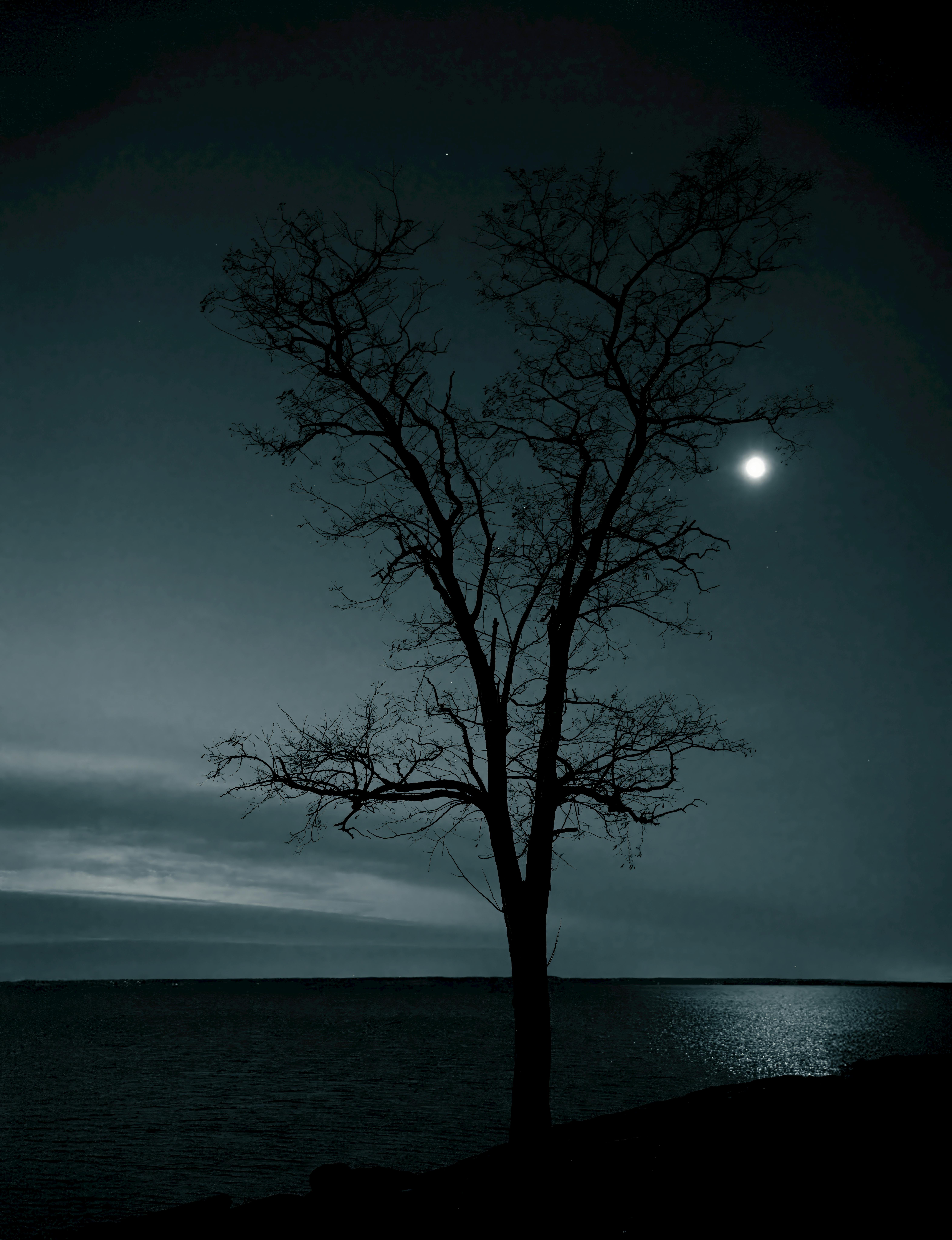 Moonlight Nature Wallpaper