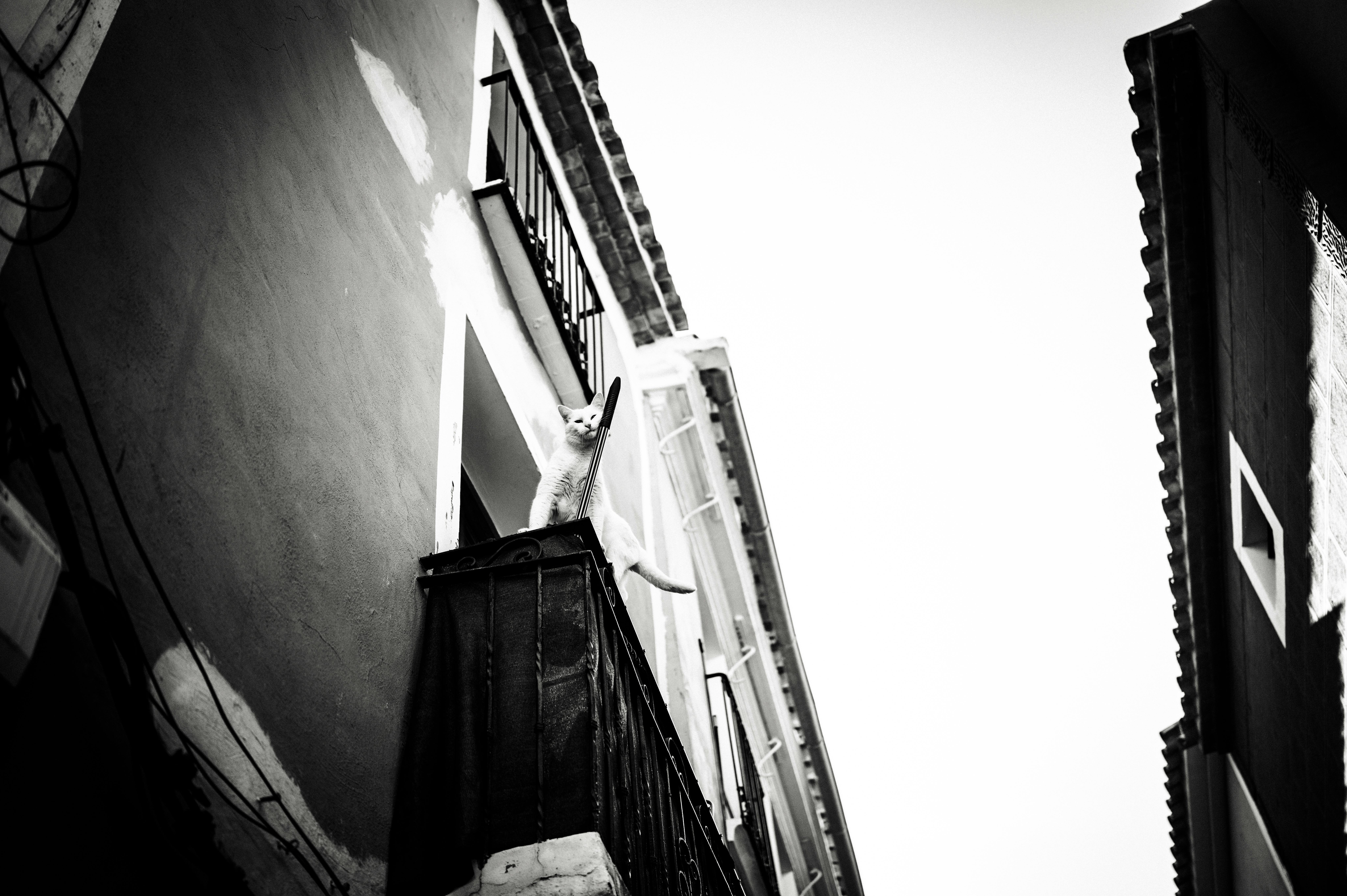 Boris K. - Photography