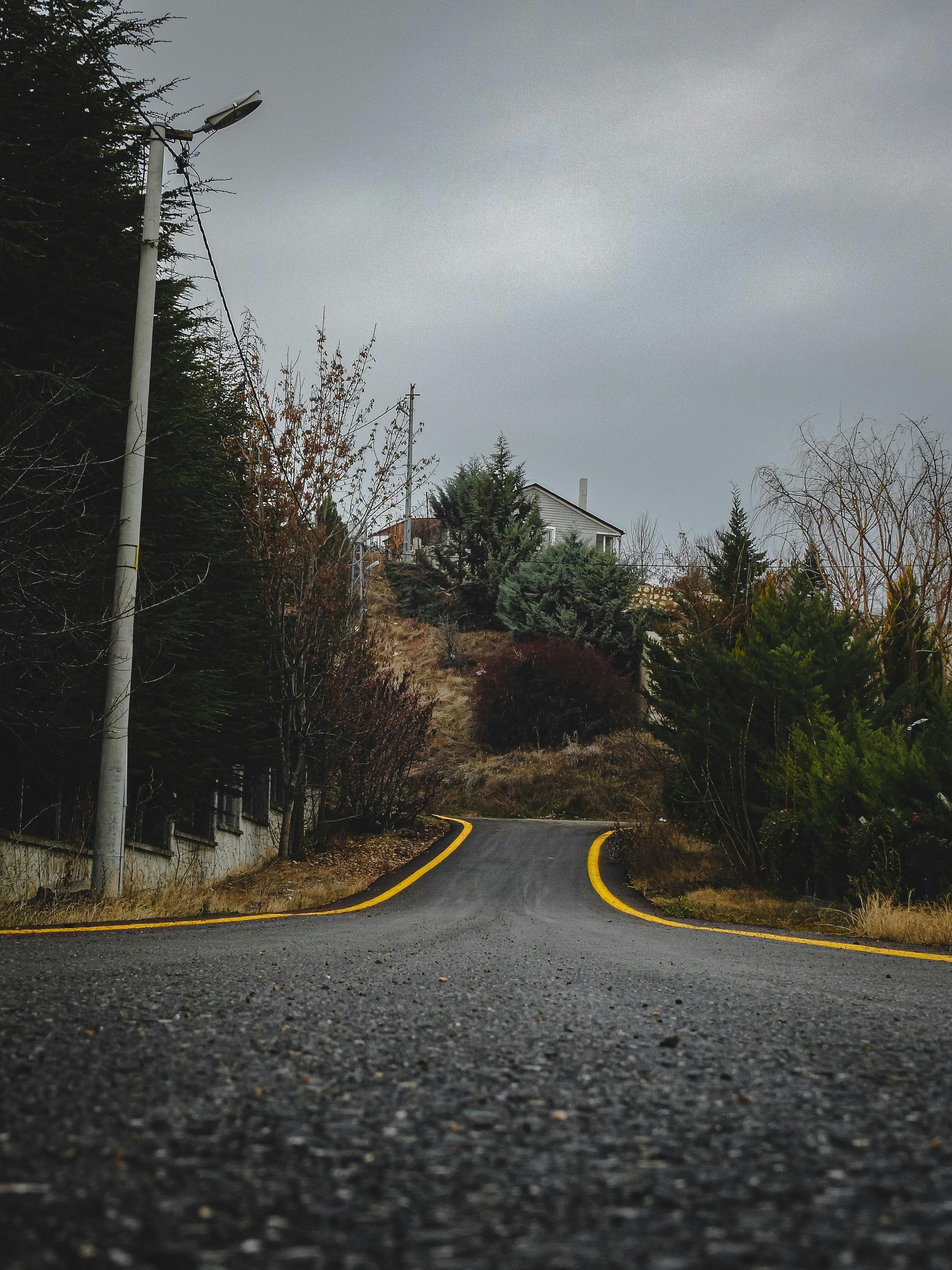 Noc+Pix+Official Photos, Download The BEST Free Noc+Pix+Official Stock ...