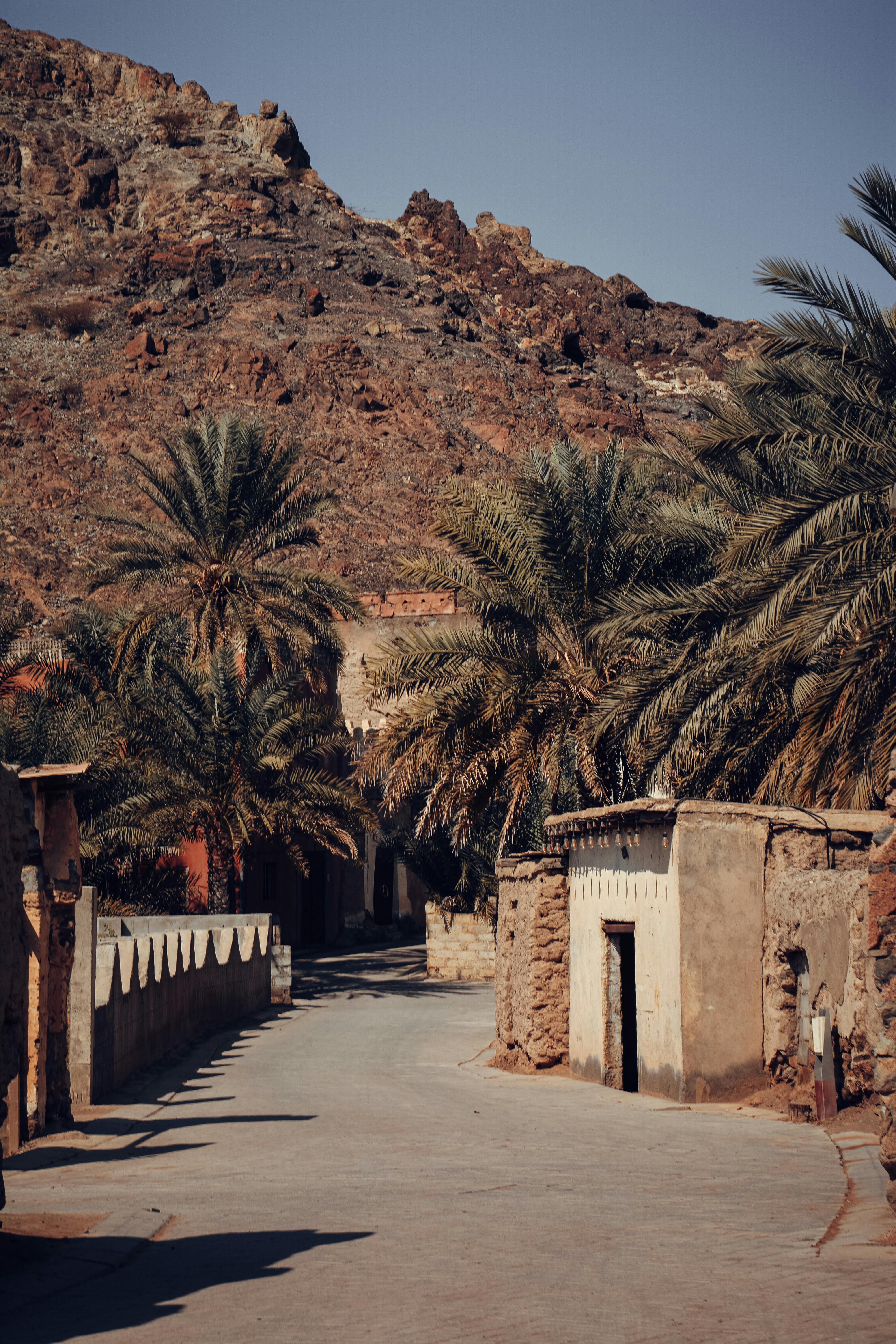 Historic Omani Village Pathway with Palm Trees · Free Stock Photo