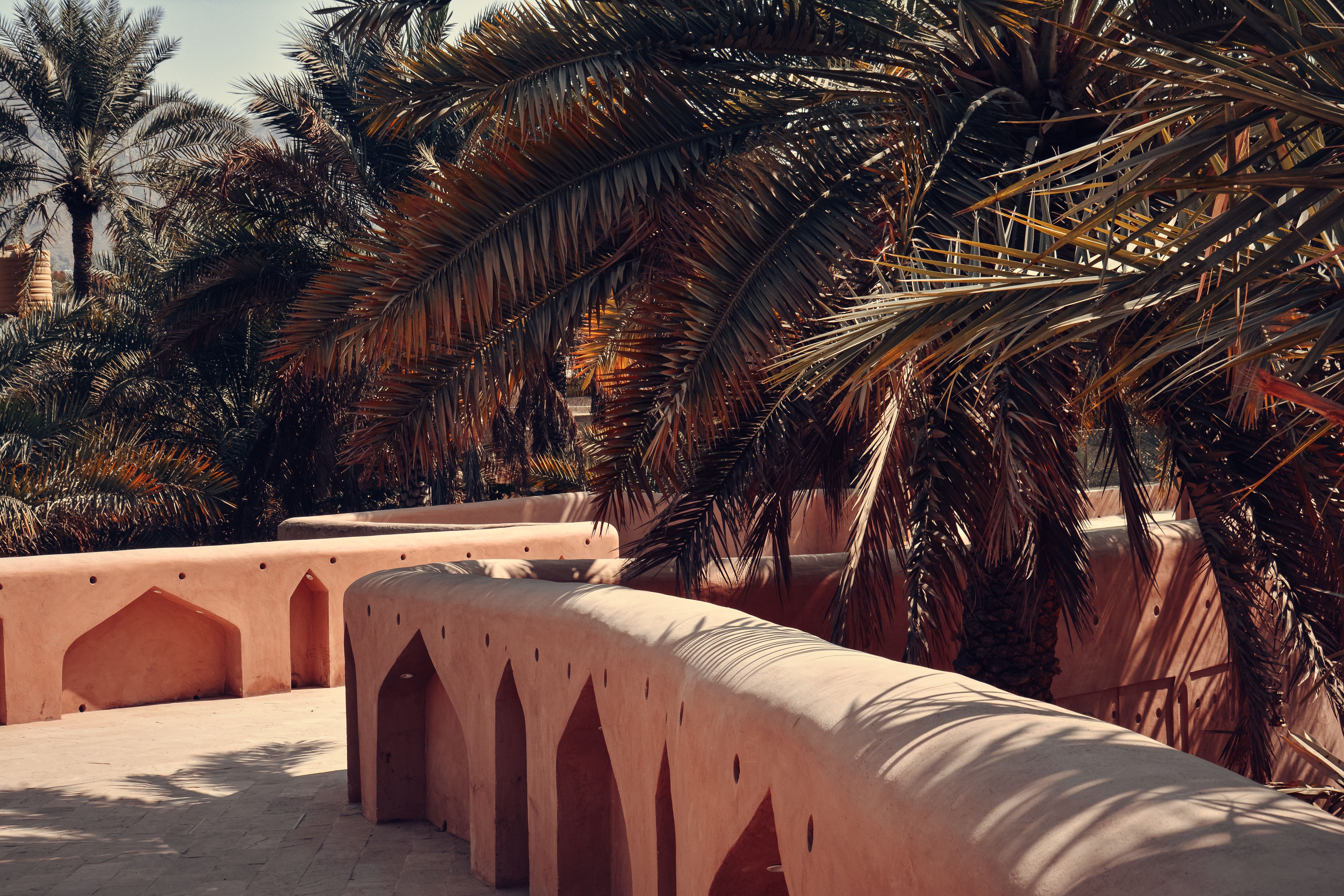 Omani Palm Oasis with Traditional Architecture · Free Stock Photo