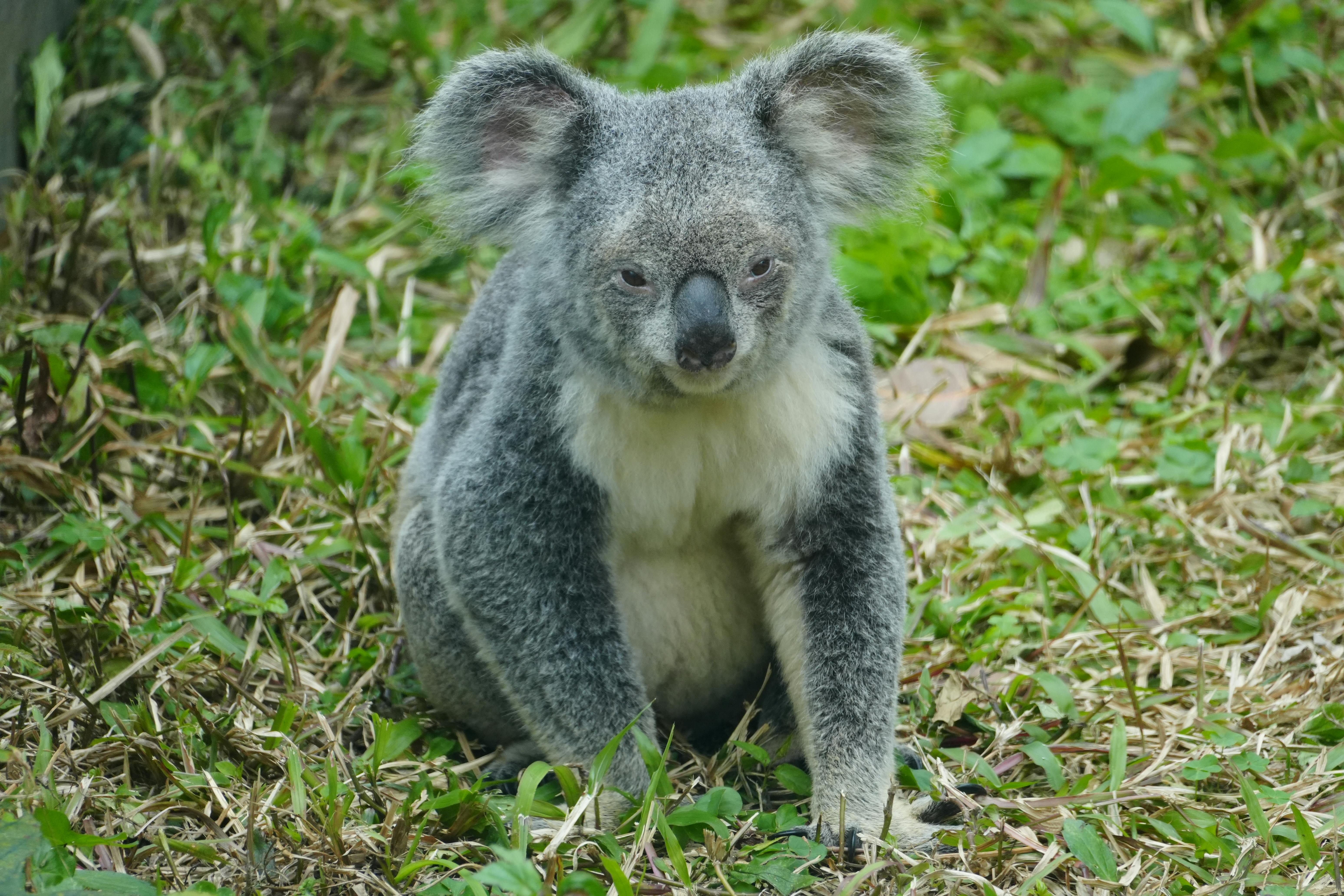 Moonpig Australia Photos, Download The BEST Free Moonpig Australia ...