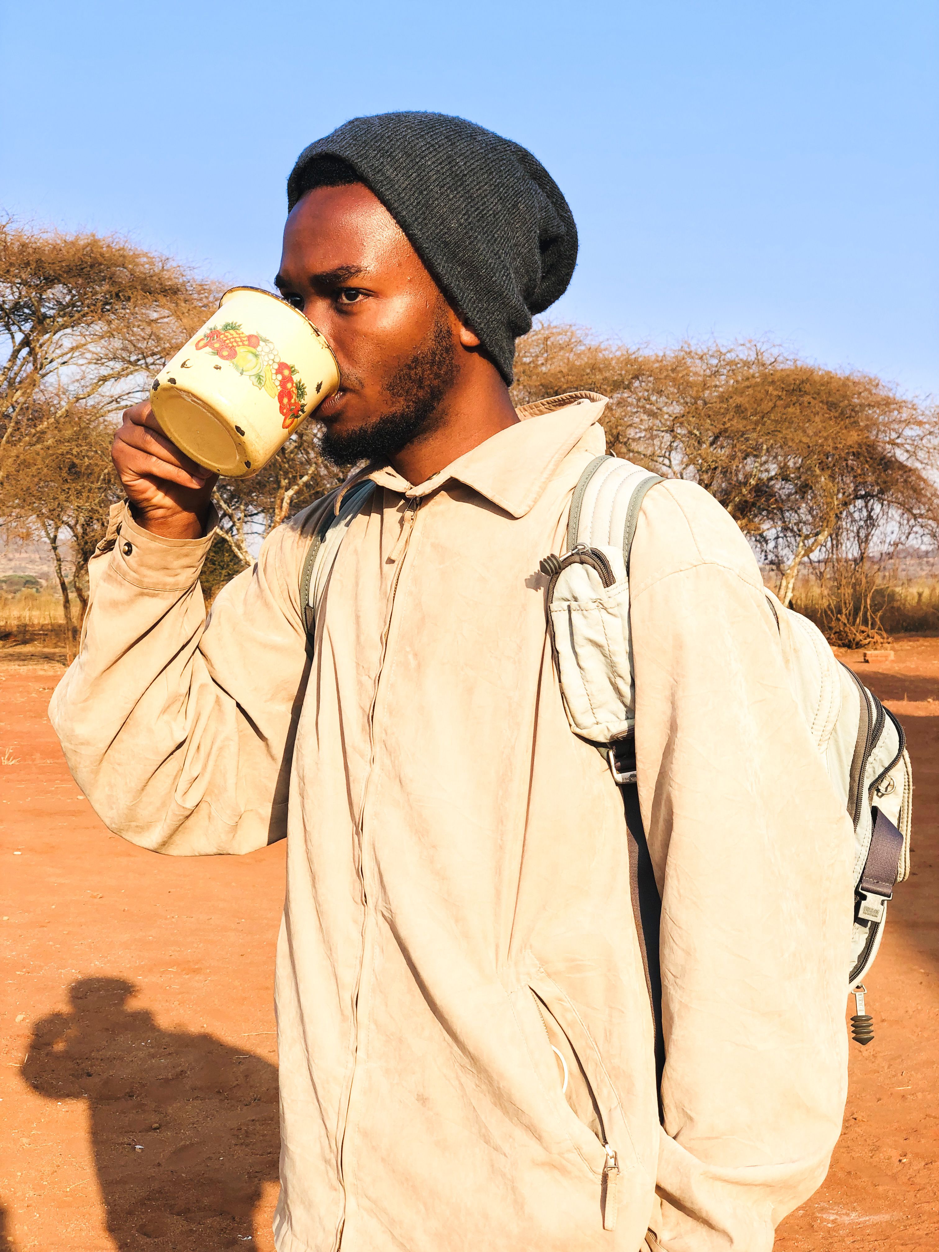 Tanzania Willife Photos, Download The BEST Free Tanzania Willife Stock ...