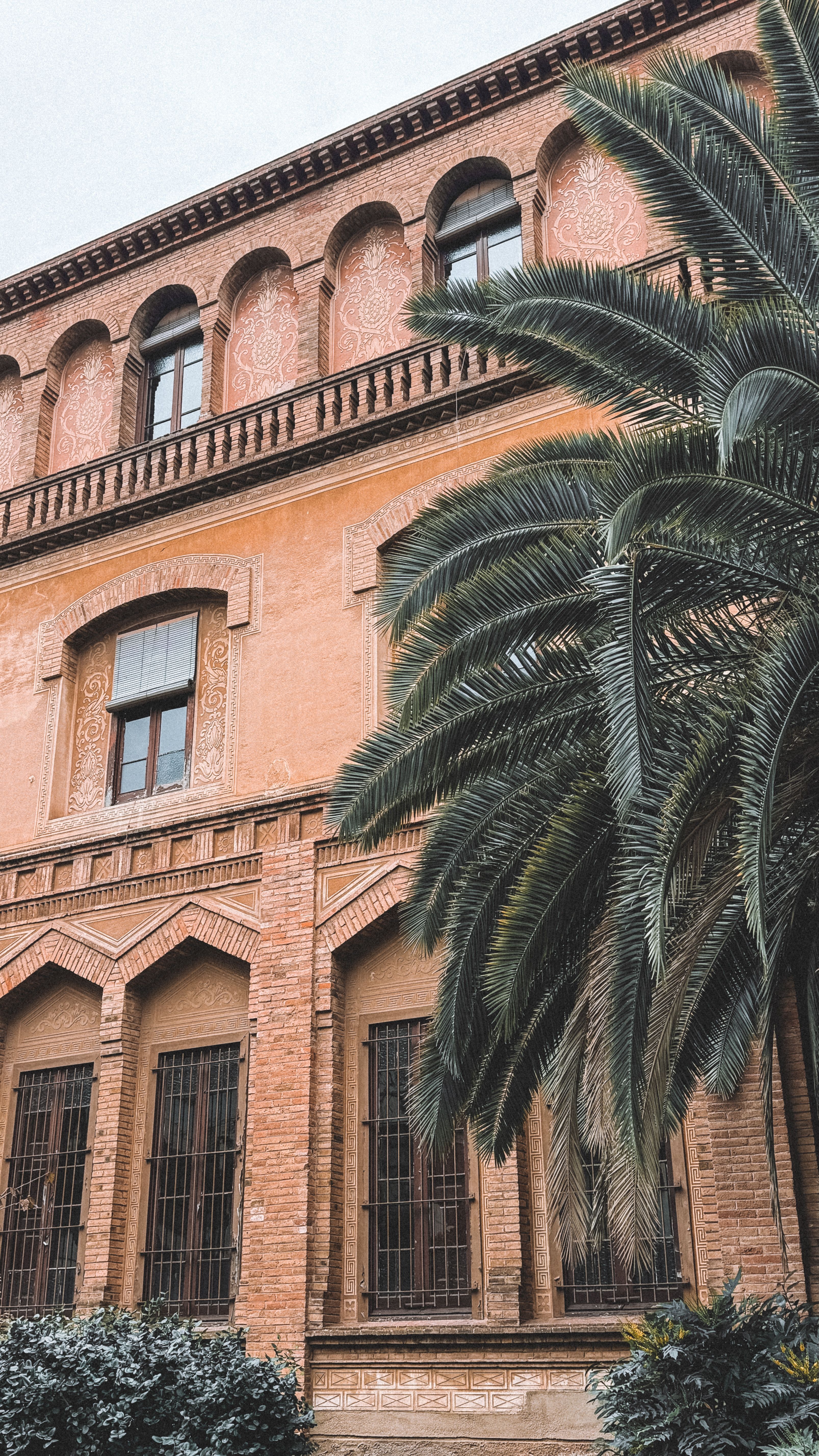 Historic Red Brick Architecture with Palm Tree · Free Stock Photo