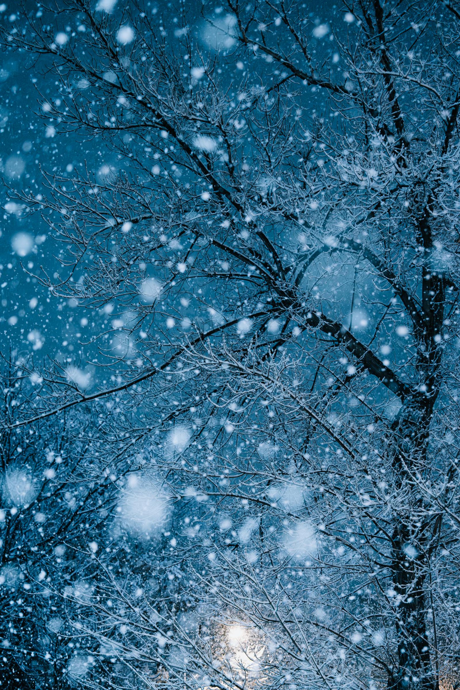 Snow Landscape Photos, Download The BEST Free Snow Landscape Stock ...