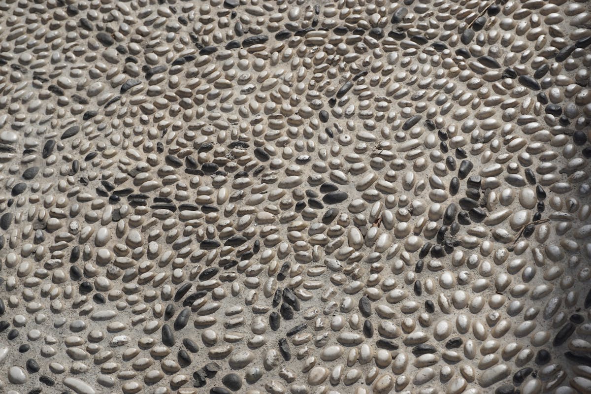 Pebble Photos, Download The BEST Free Pebble Stock Photos & HD Images