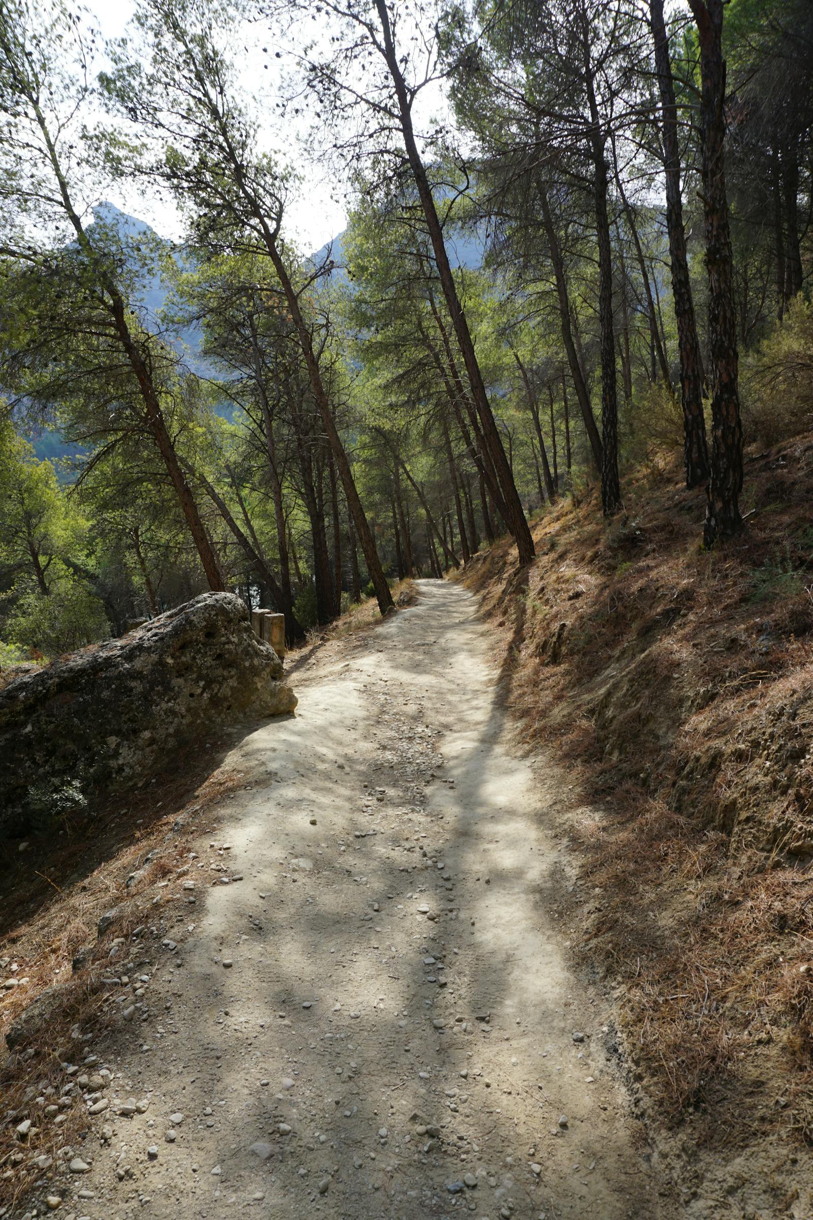 Dirt Path Photos, Download The BEST Free Dirt Path Stock Photos & HD Images