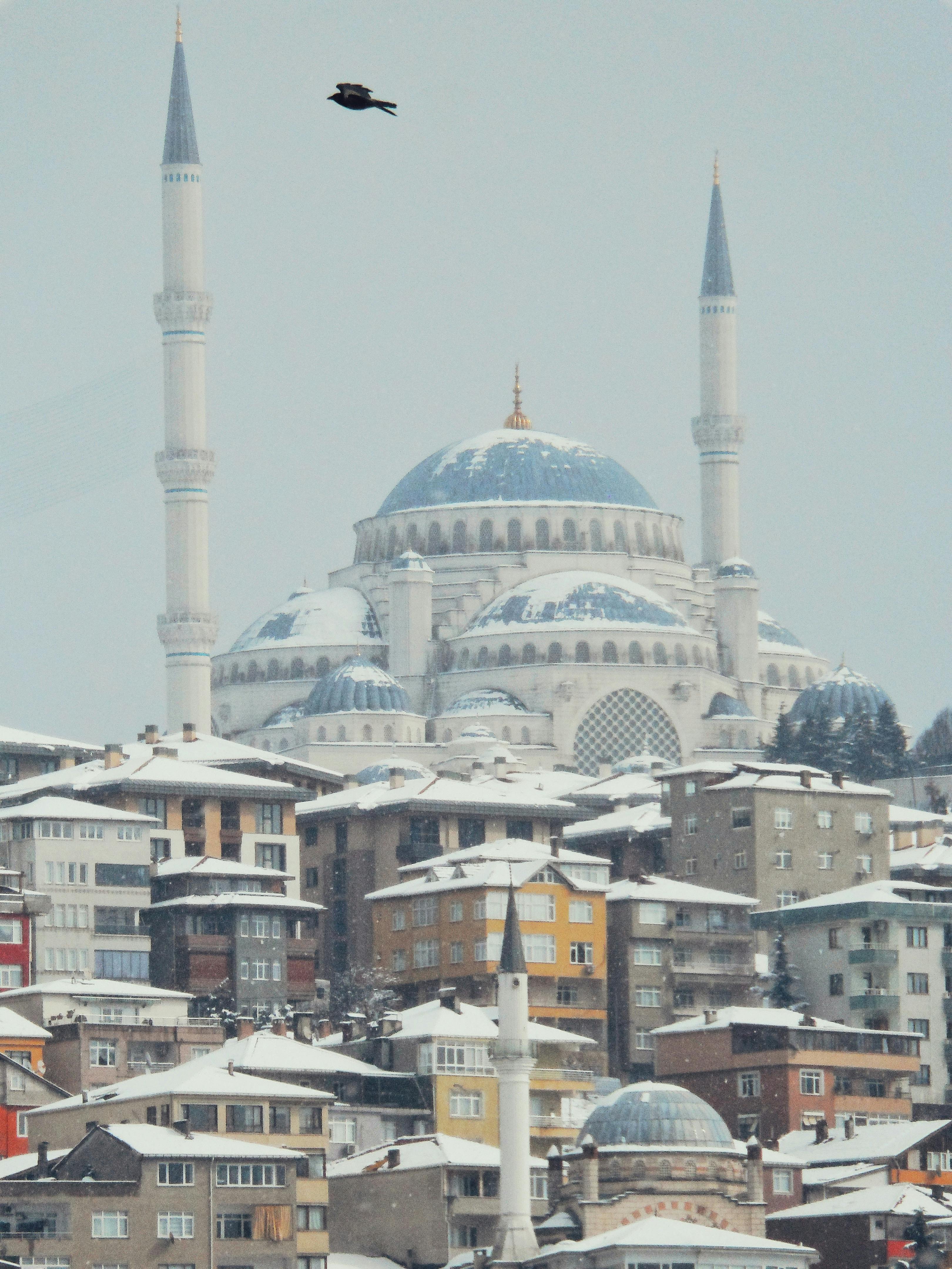 Winter View of Grand Mosque in Snow-Covered Cityscape · Free Stock Photo